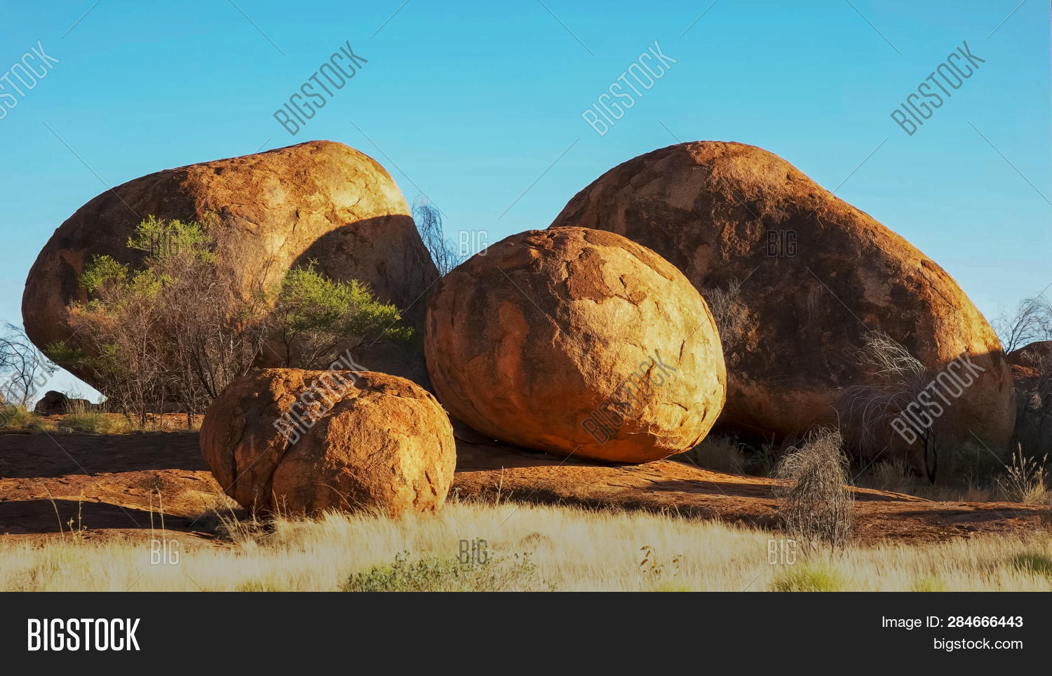 Group Round Devils Image & Photo (Free Trial) | Bigstock