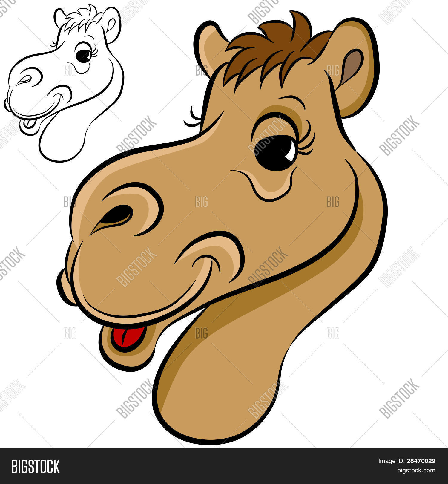 Image Cartoon Camel Image & Photo (Free Trial) | Bigstock