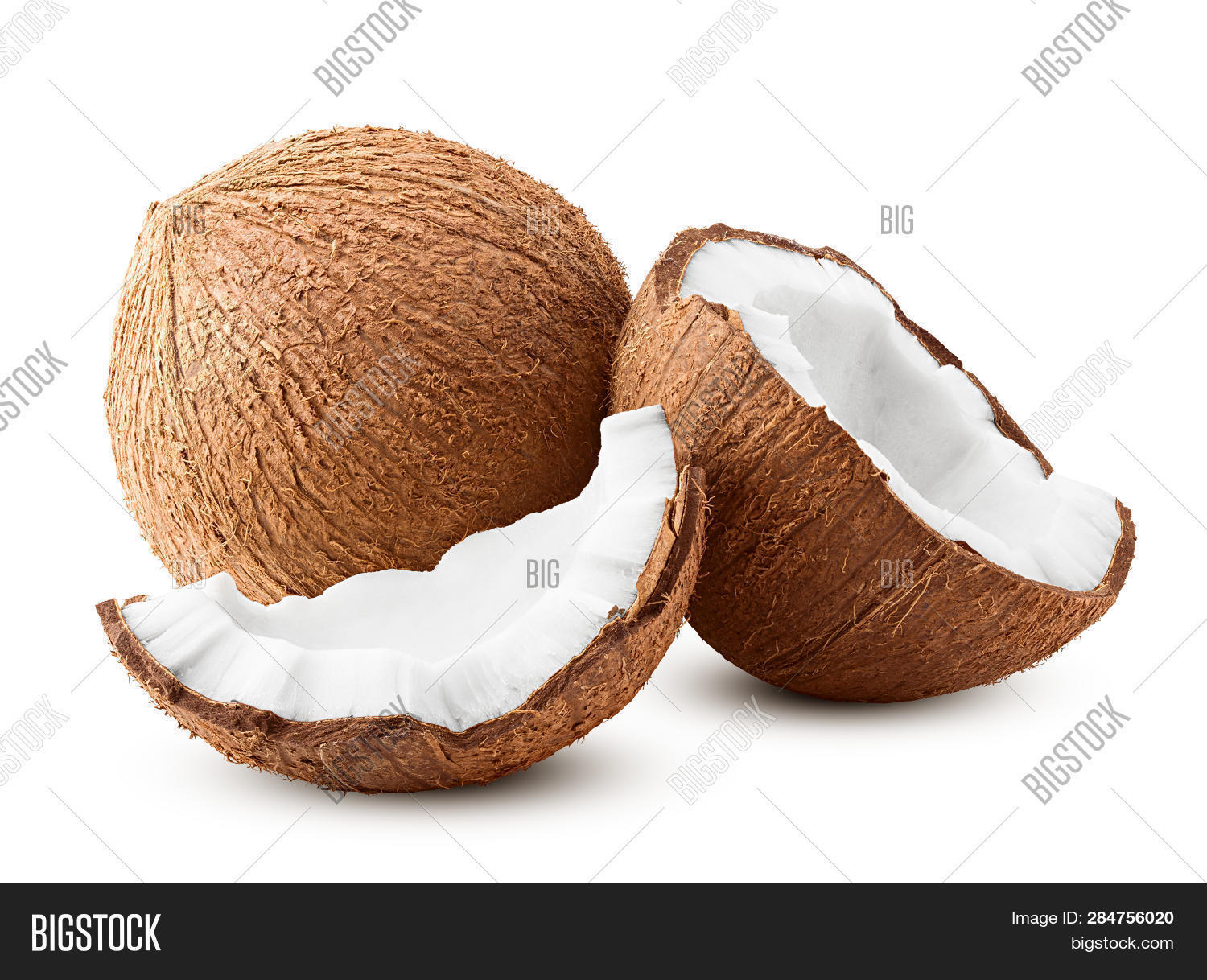 Coconut, Isolated On Image & Photo (Free Trial) | Bigstock