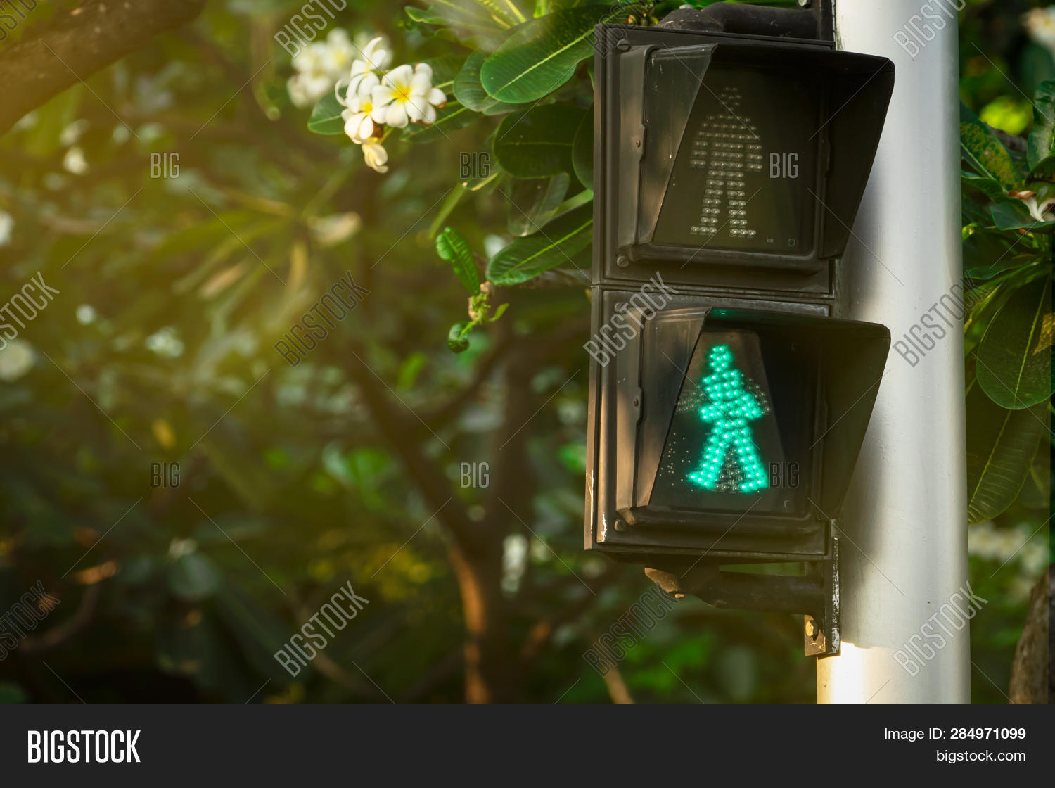 Pedestrian Signals On Image & Photo (Free Trial) | Bigstock