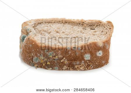 Blue Mold Covers Slice Image & Photo (Free Trial) | Bigstock