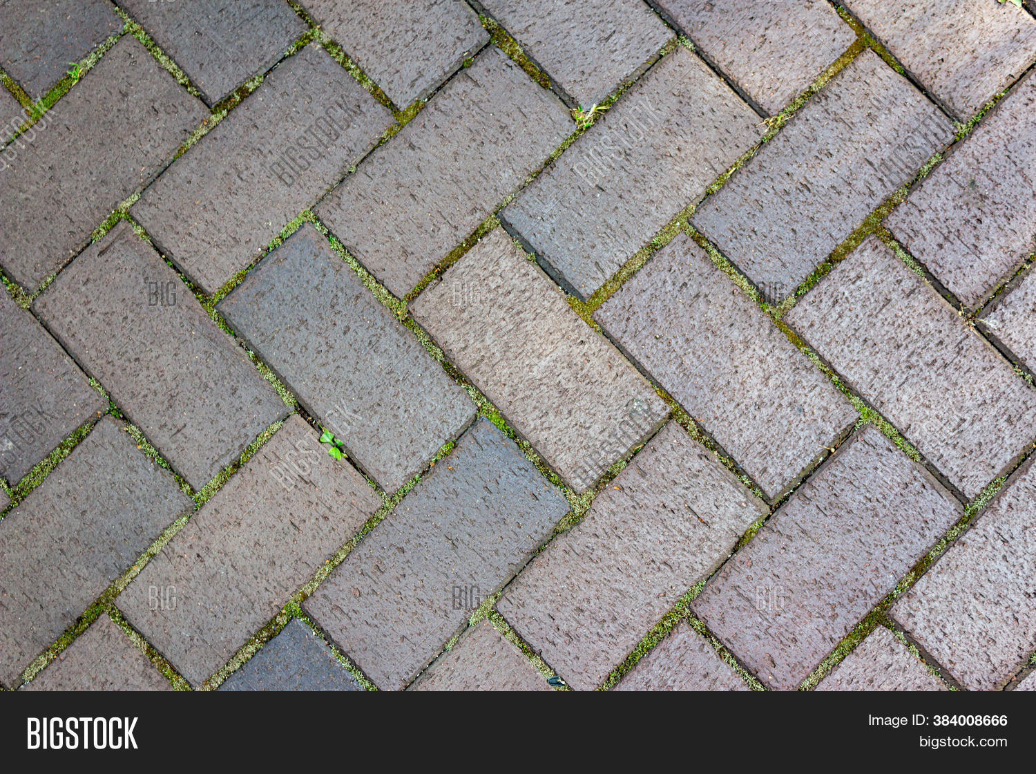 Texture Paving Tiles Image & Photo (Free Trial) | Bigstock