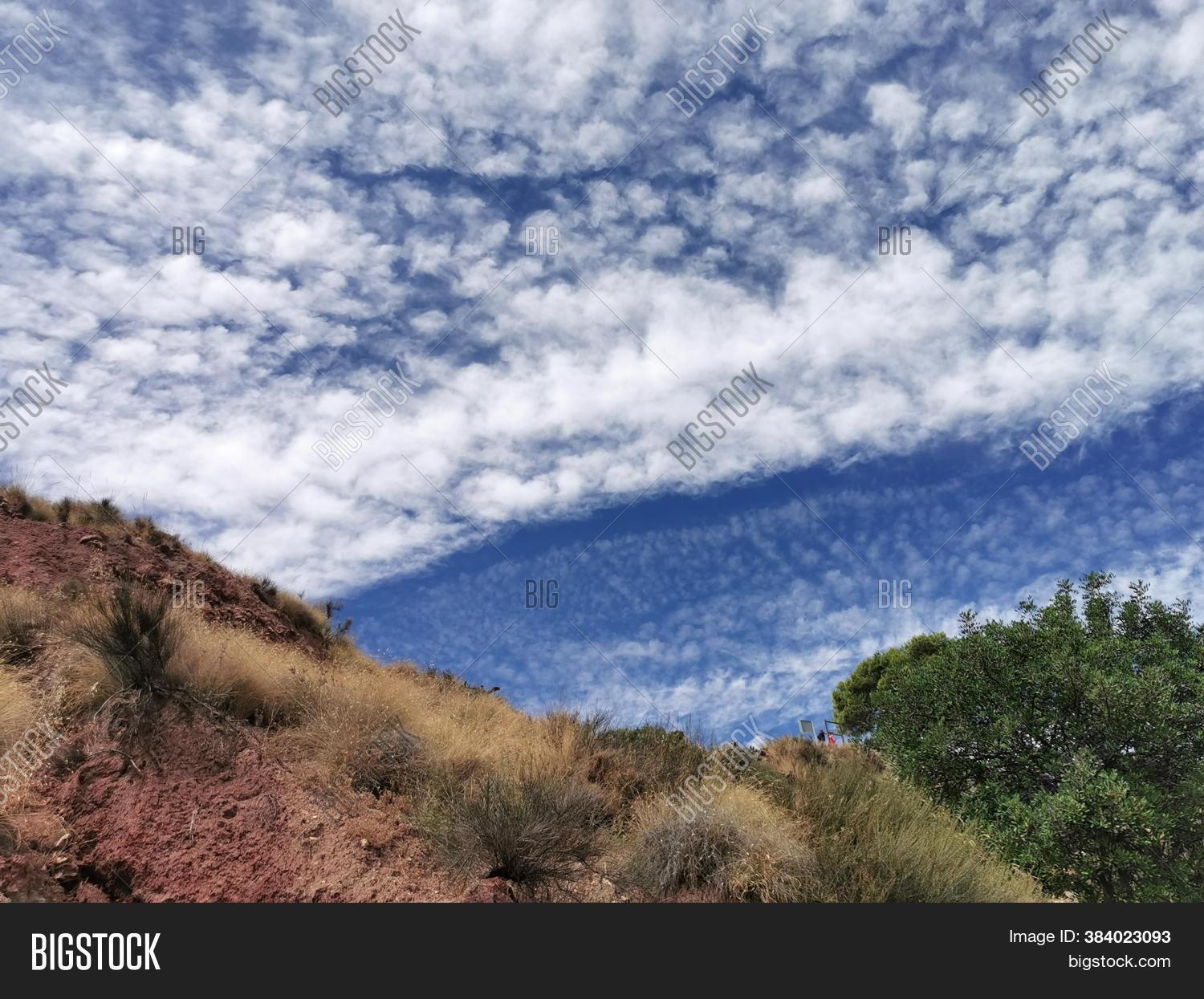 Small Cumulus Clouds Image & Photo (Free Trial) | Bigstock