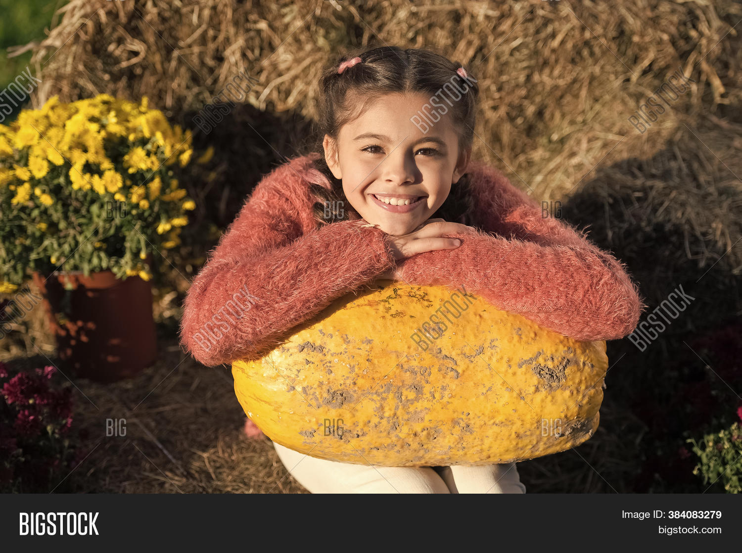 This Autumn. Ready Image & Photo (Free Trial) | Bigstock