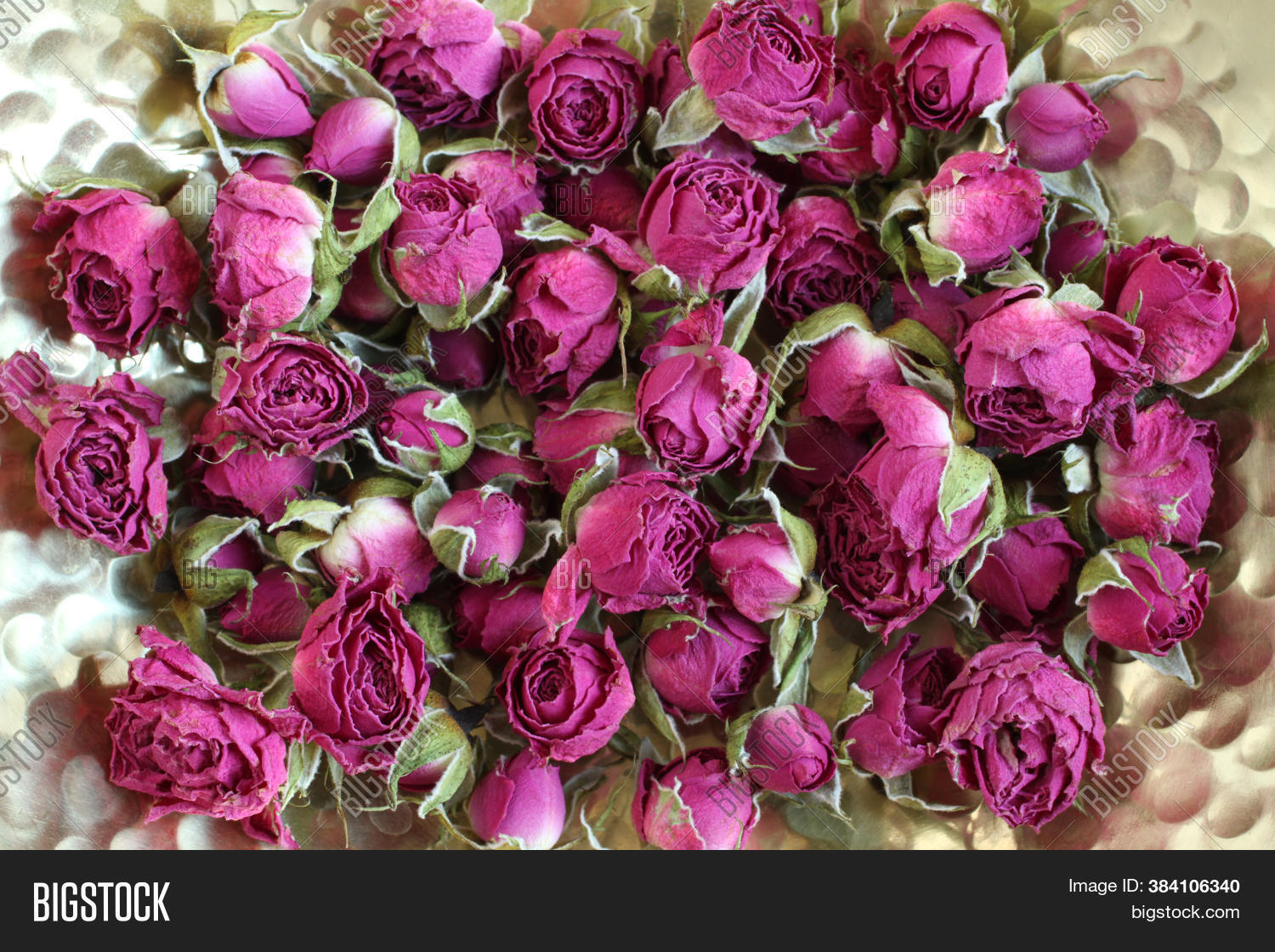 Dried Rose Flowers On Image & Photo (Free Trial) | Bigstock