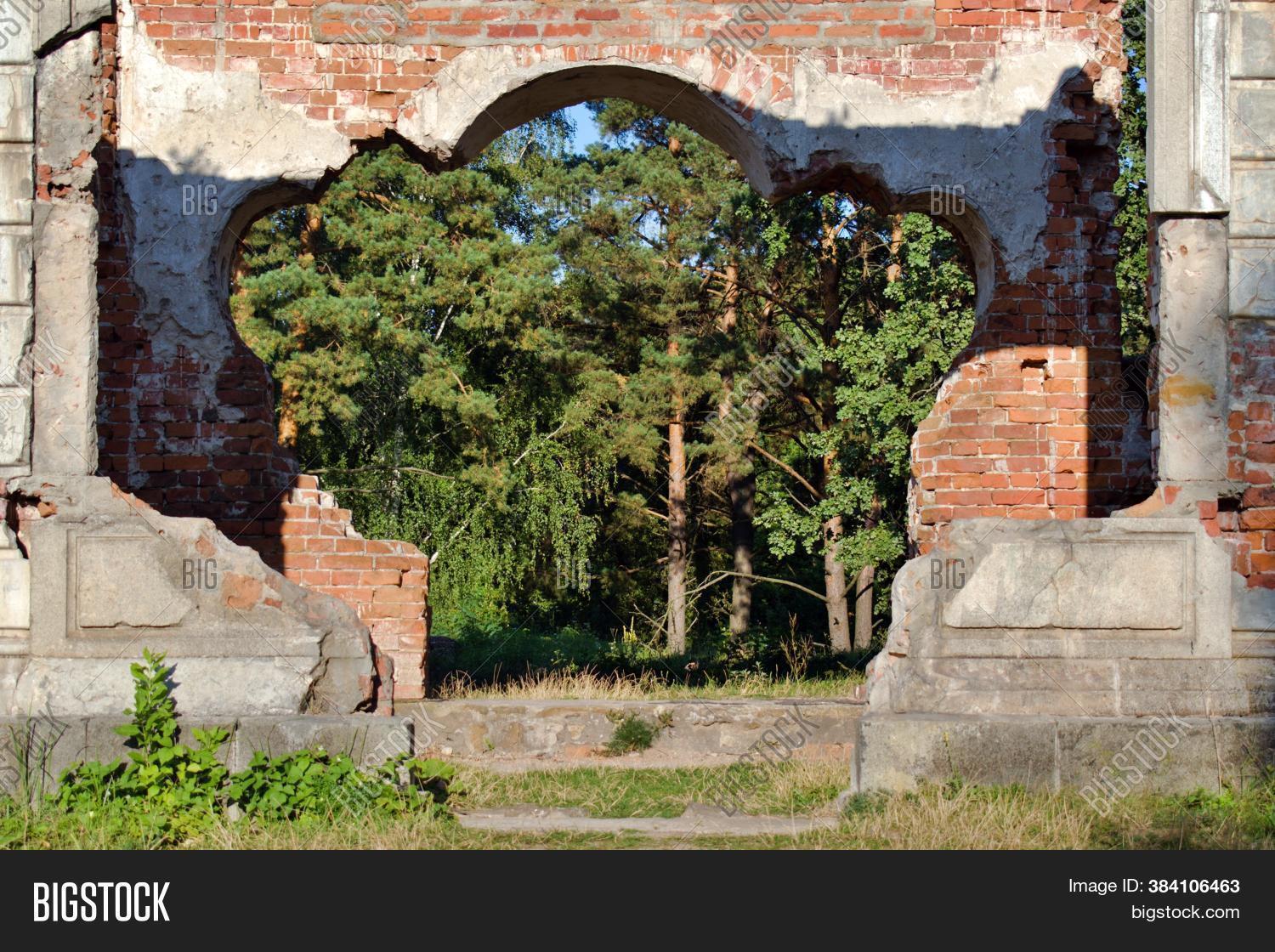 Green Forest Opening Image & Photo (Free Trial) | Bigstock