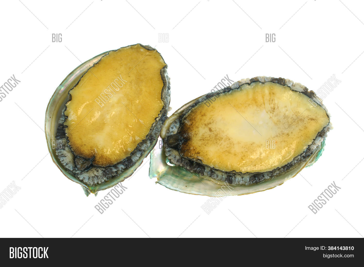 Fresh Raw Abalone Image & Photo (Free Trial) | Bigstock