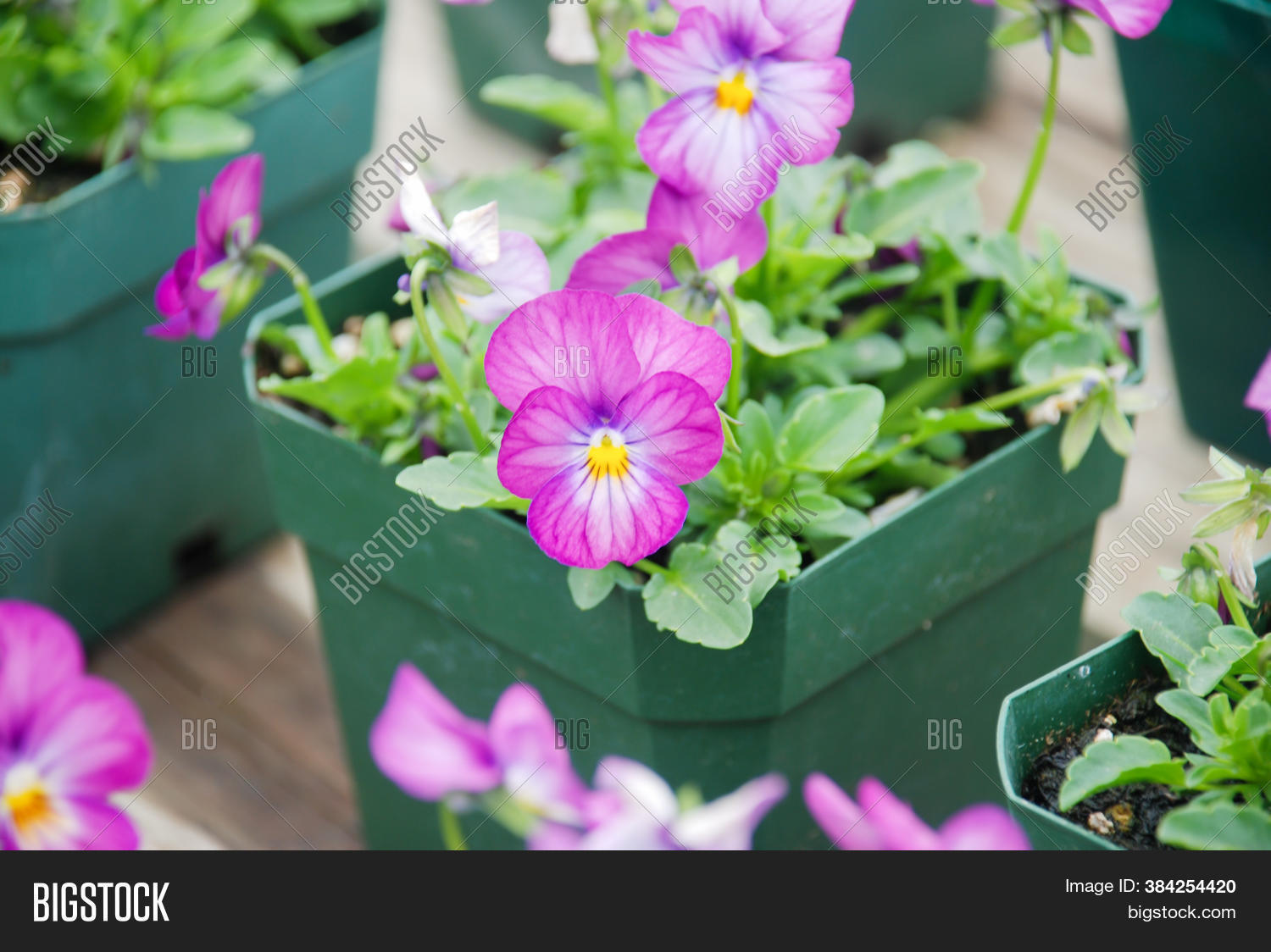 Blurry Yellow Light Image & Photo (Free Trial) | Bigstock