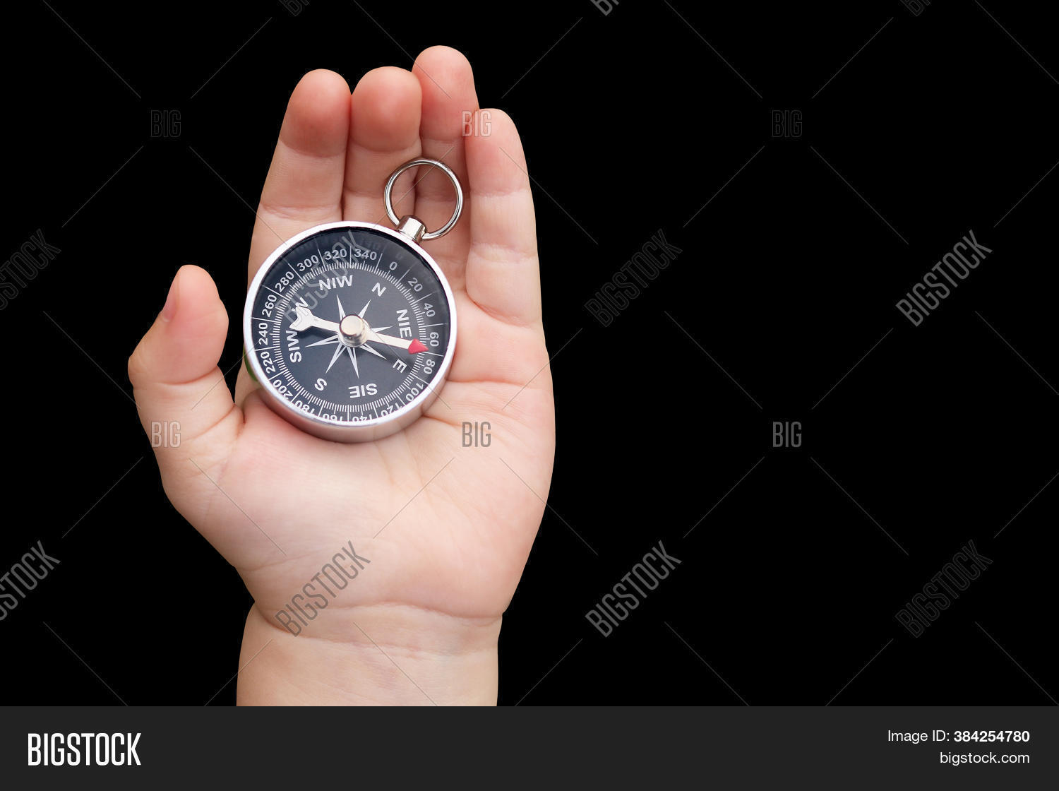 Round Compass Hand Image & Photo (Free Trial) | Bigstock