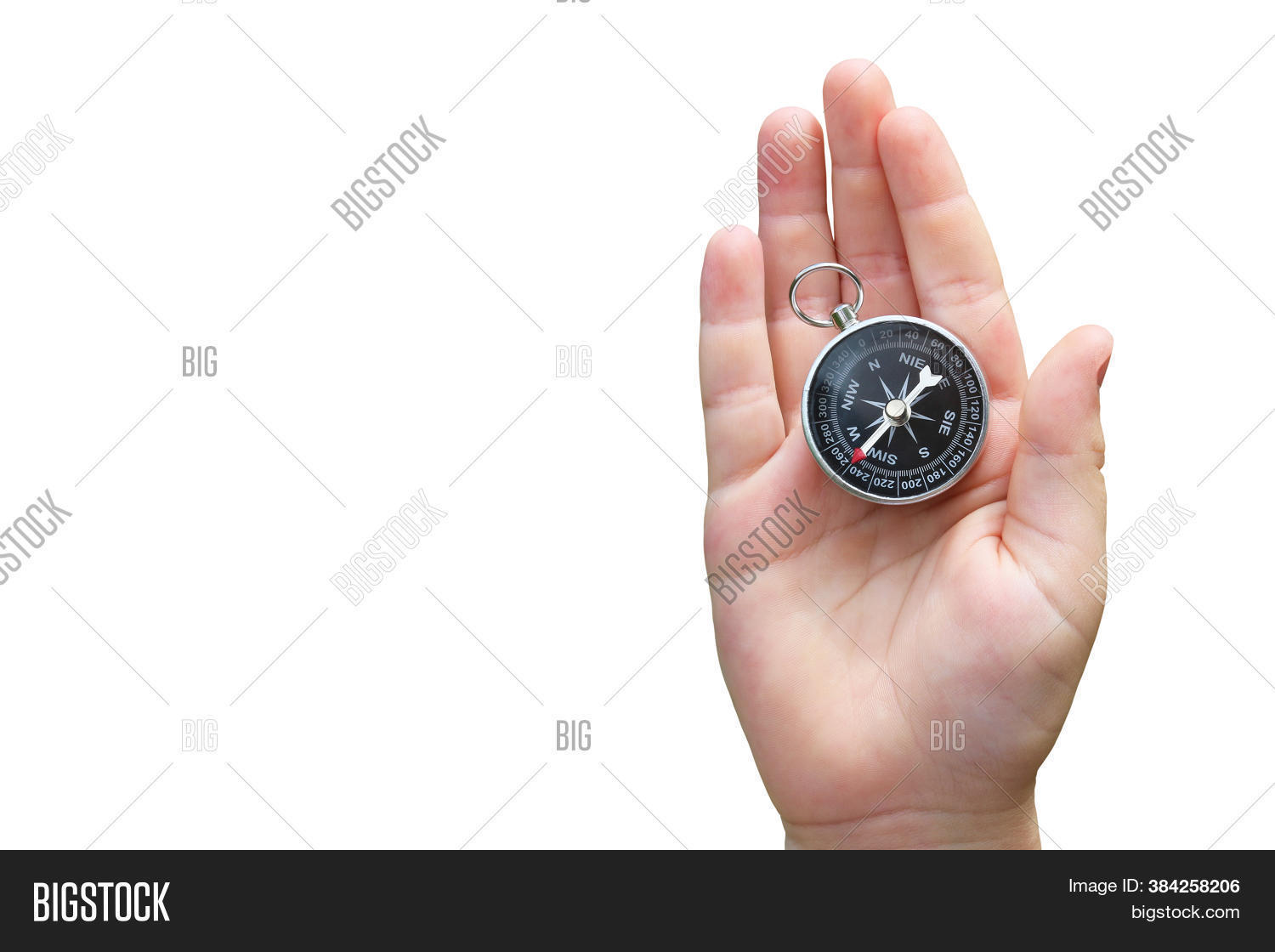 Round Compass Hand Image & Photo (Free Trial) | Bigstock