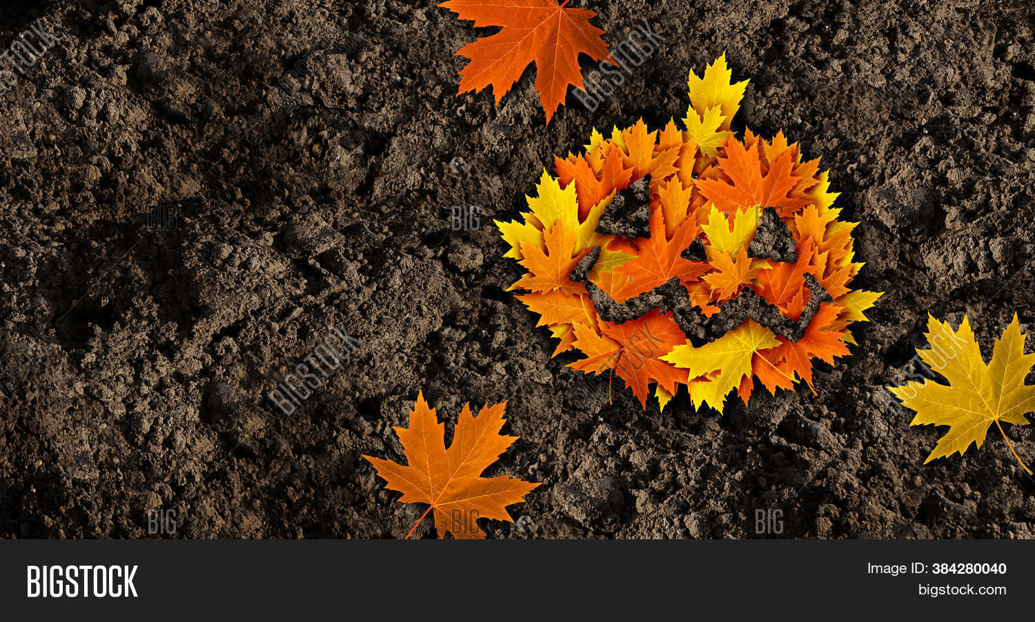 Autumn Halloween Fall Image & Photo (Free Trial) | Bigstock