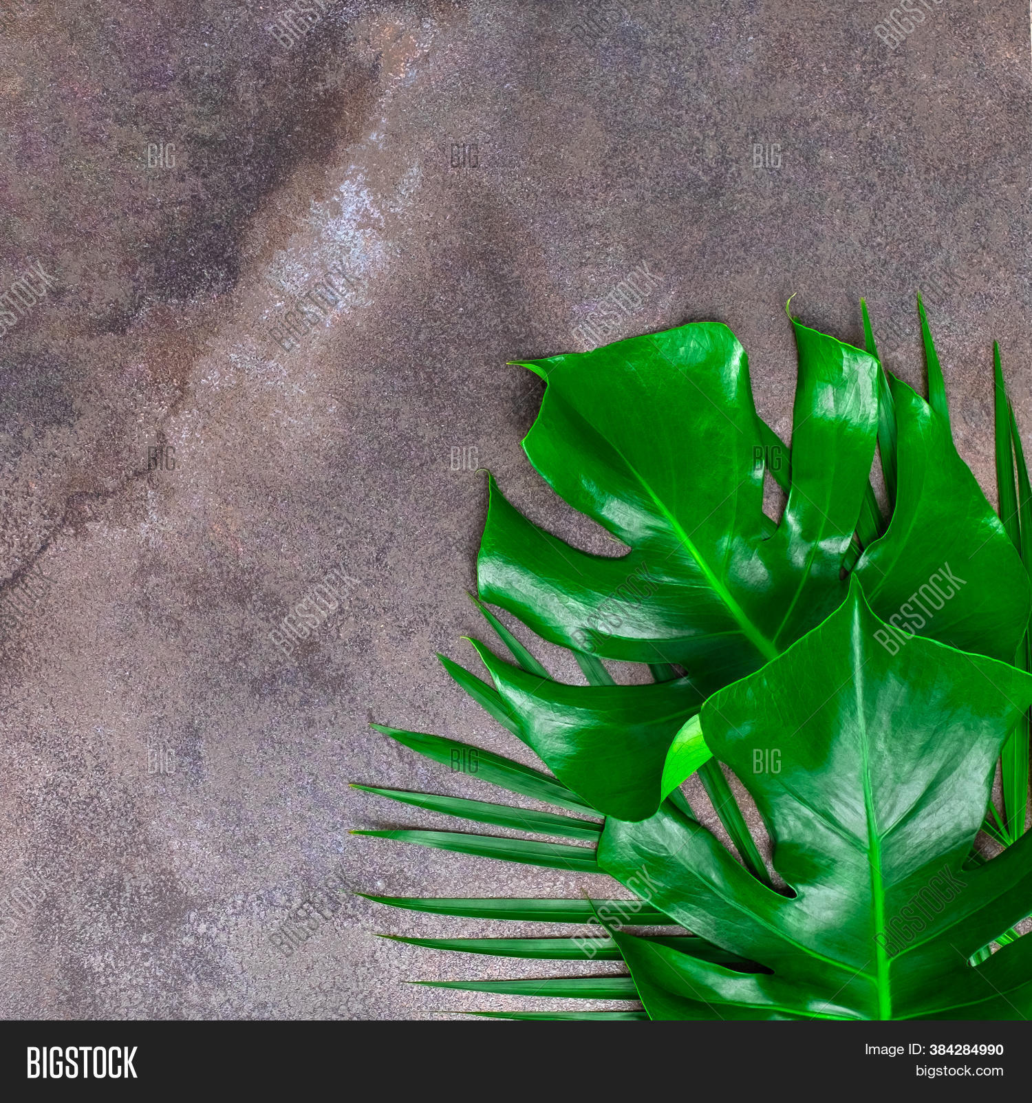 Natural Dark Gray Image & Photo (Free Trial) | Bigstock