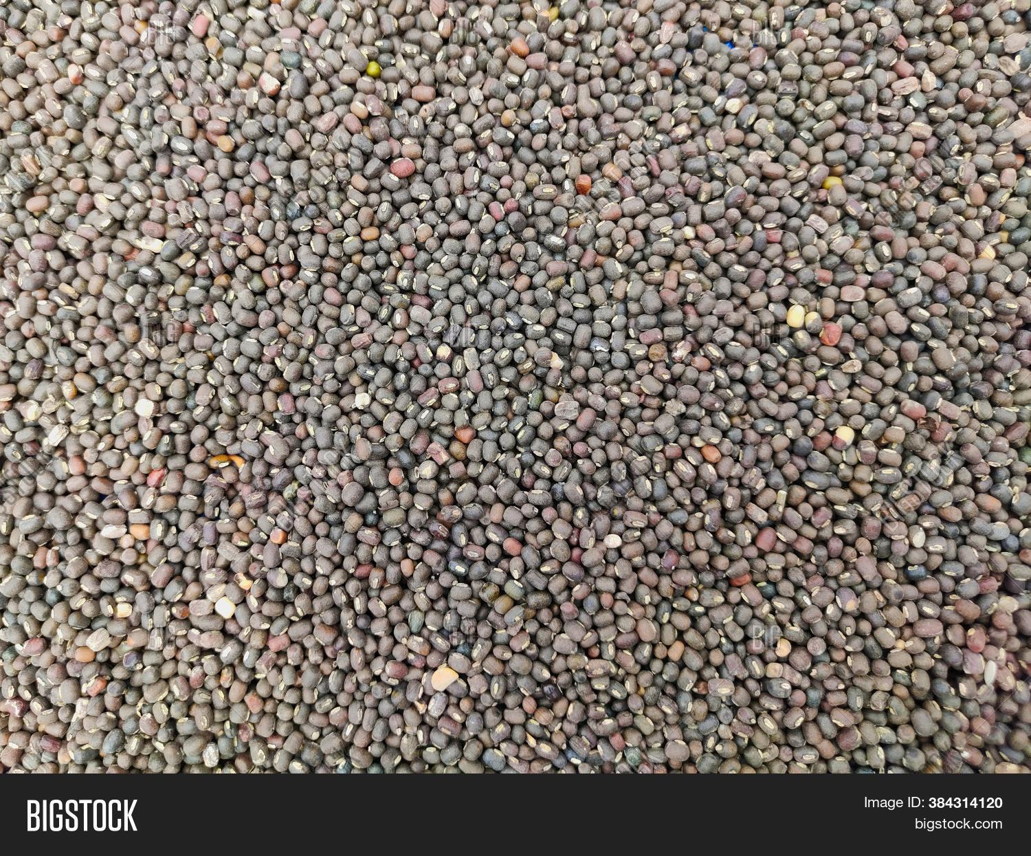 Black Gram Lentils , Image & Photo (Free Trial) | Bigstock