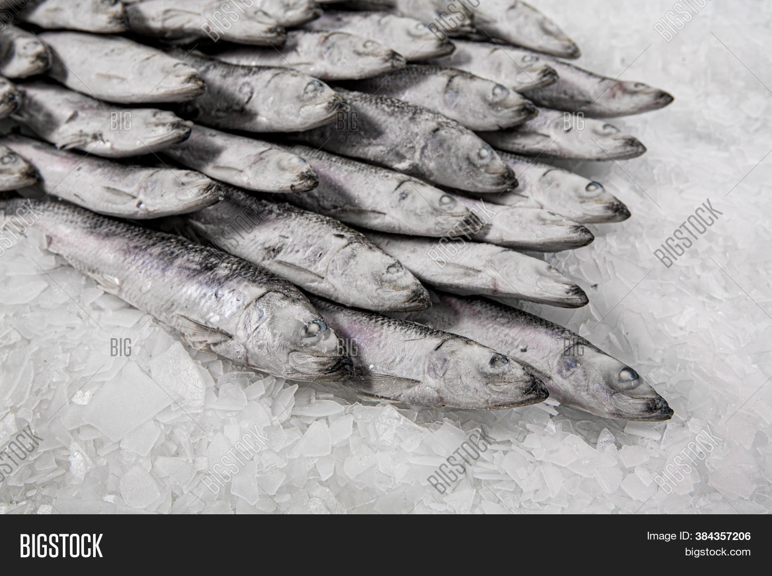 Fresh Sprat Folded On Image & Photo (Free Trial) | Bigstock