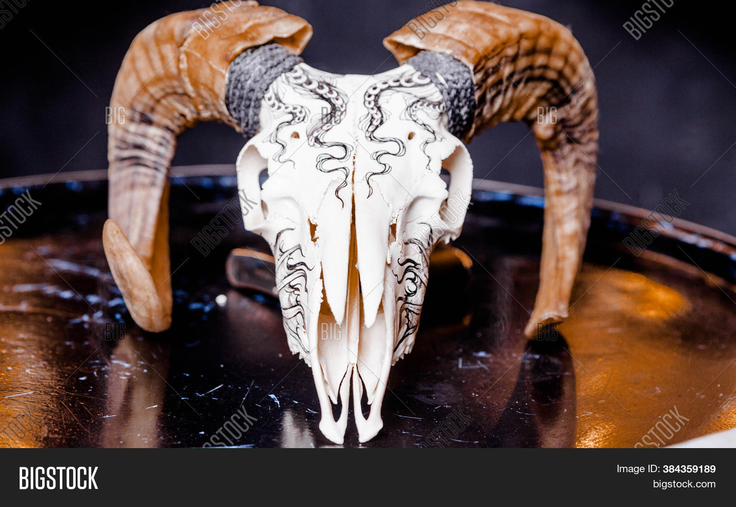Ram Skull On Glossy Image & Photo (Free Trial) | Bigstock