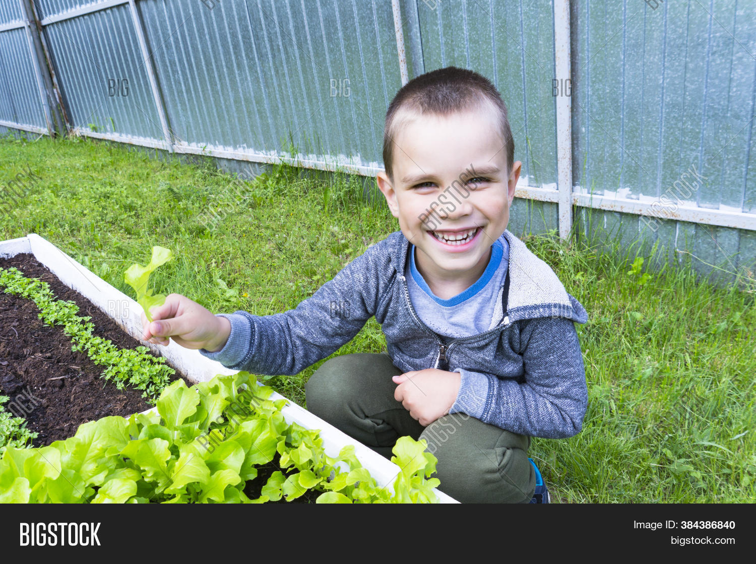 Little Farmer Boy Sits Image & Photo (Free Trial) | Bigstock