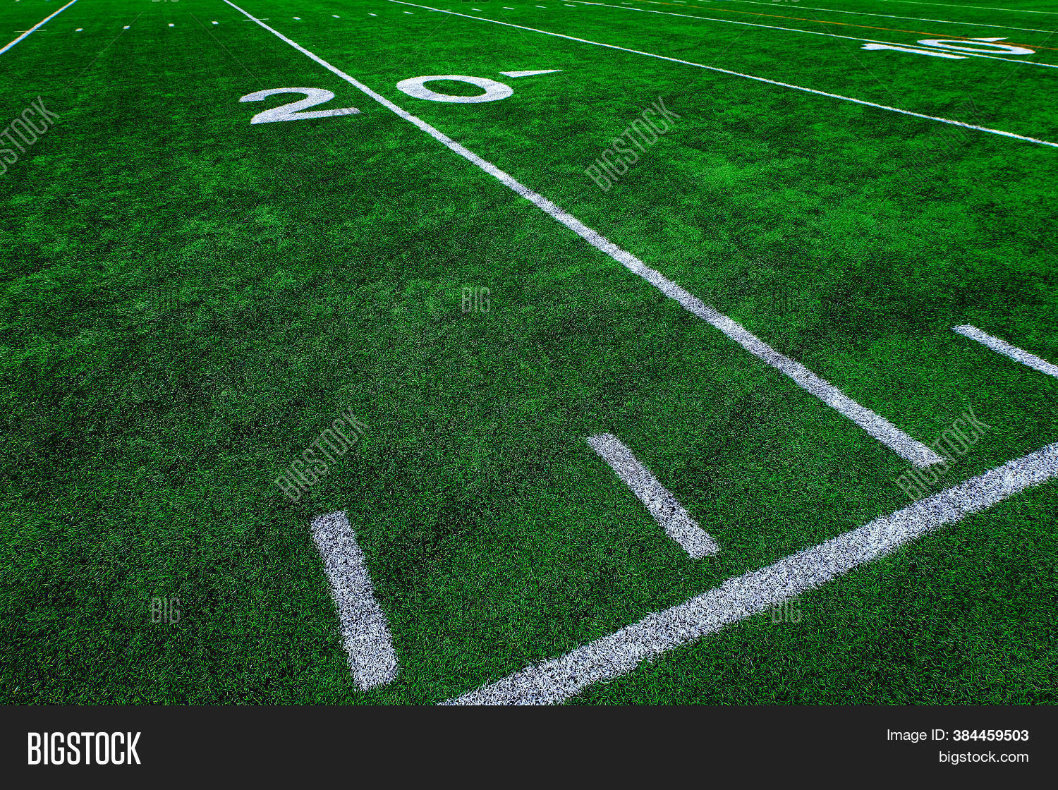 American Football Field Grass