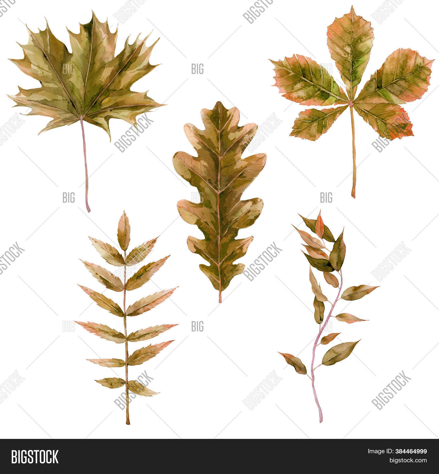 Fall Dried Tree Leaves Image & Photo (Free Trial) | Bigstock