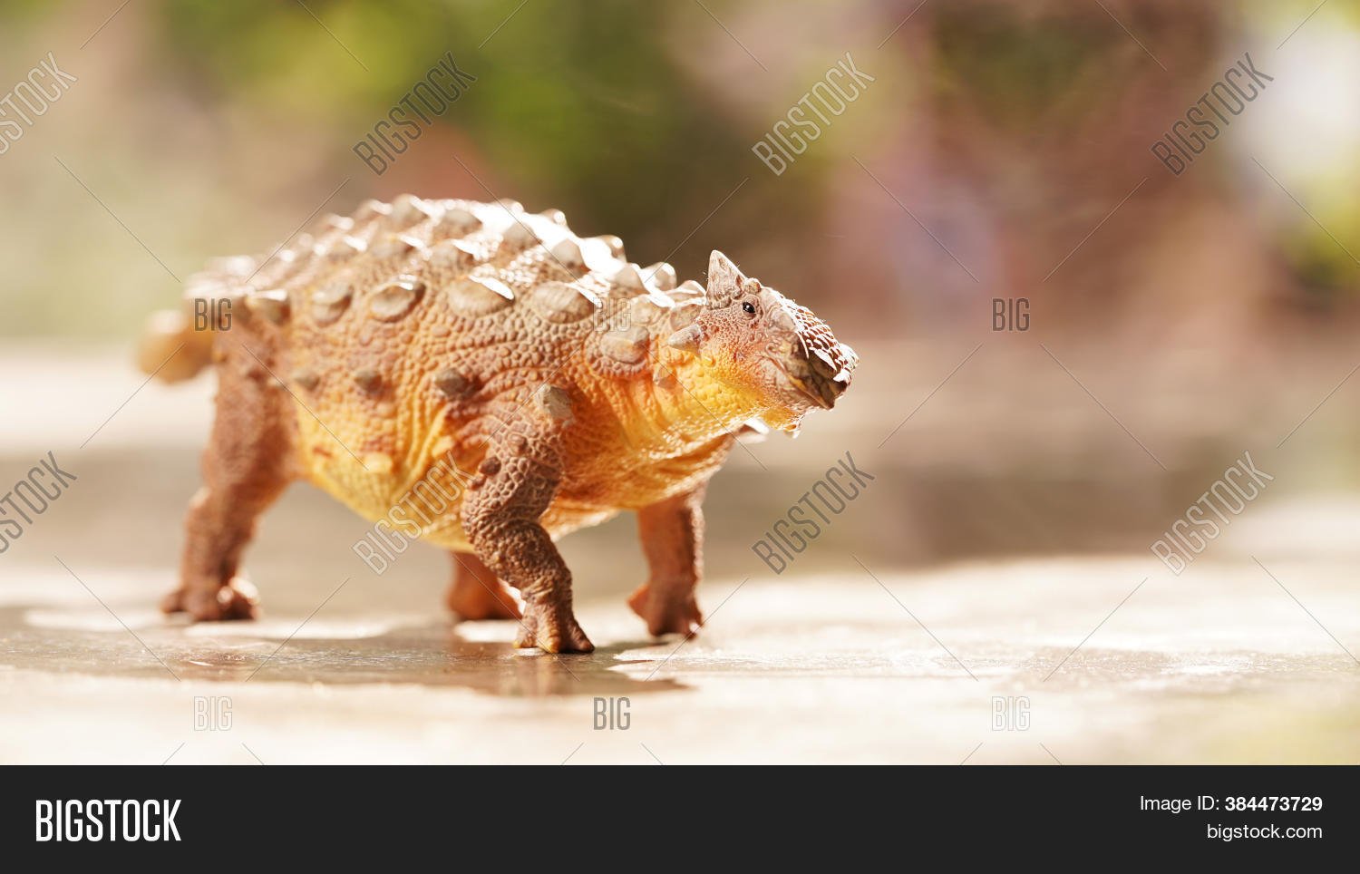 Ankylosaurus Image & Photo (Free Trial) | Bigstock