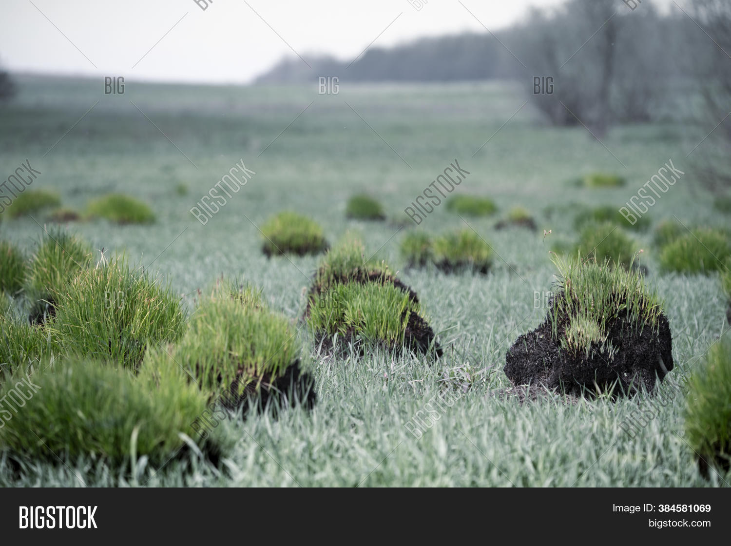 Earth Bumps On Which Image & Photo (Free Trial) | Bigstock