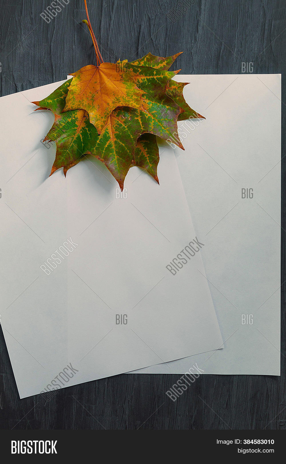 Two Sheets Rectangular Image & Photo (Free Trial) | Bigstock