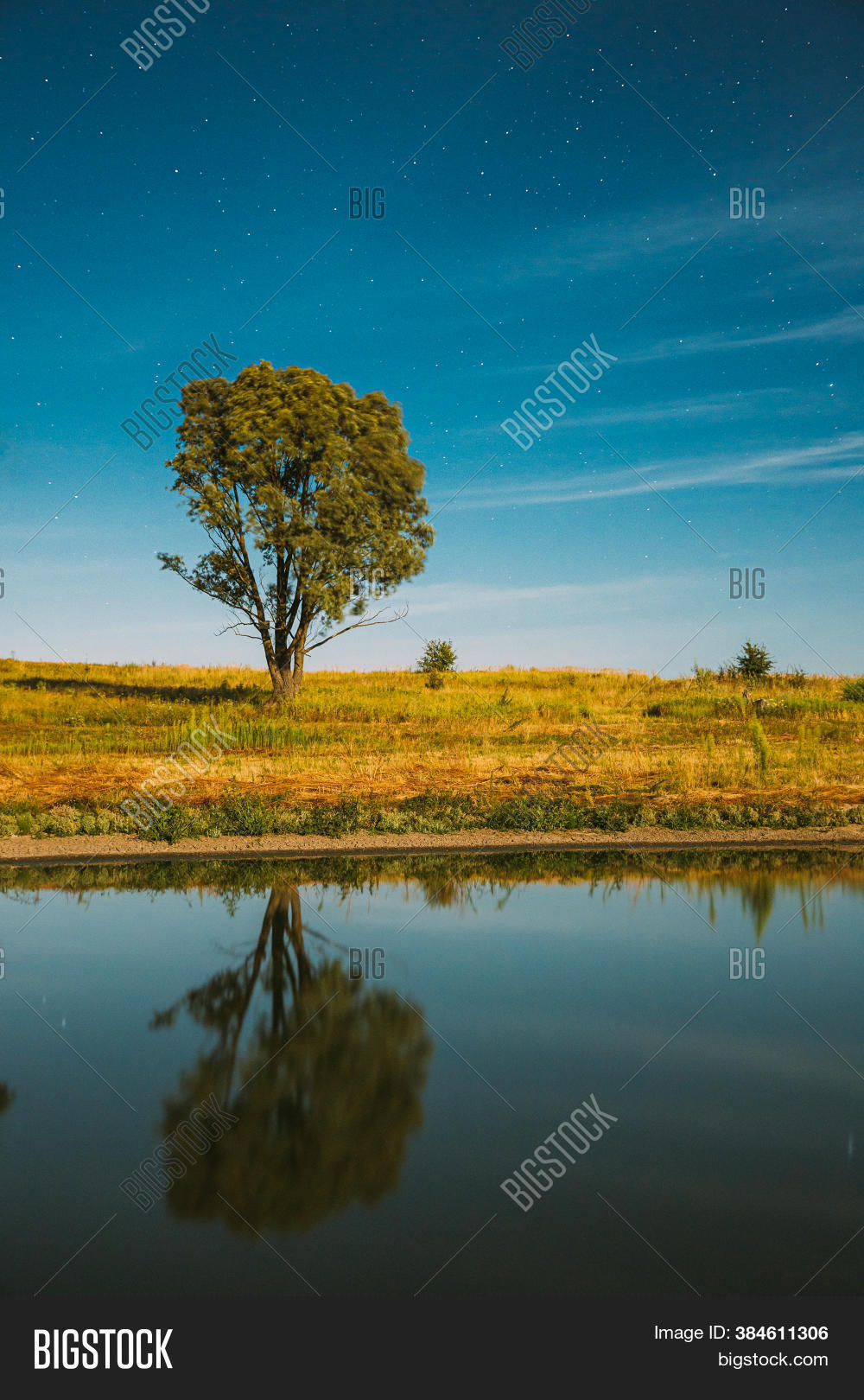 Blue Night Starry Sky Image & Photo (Free Trial) | Bigstock
