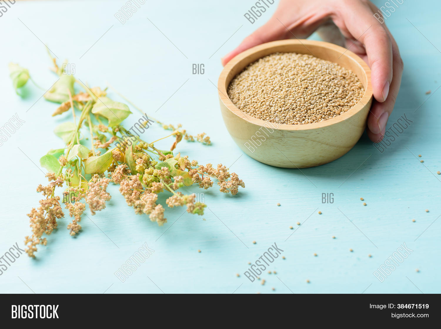 Raw Brown Quinoa Seed Image & Photo (Free Trial) | Bigstock