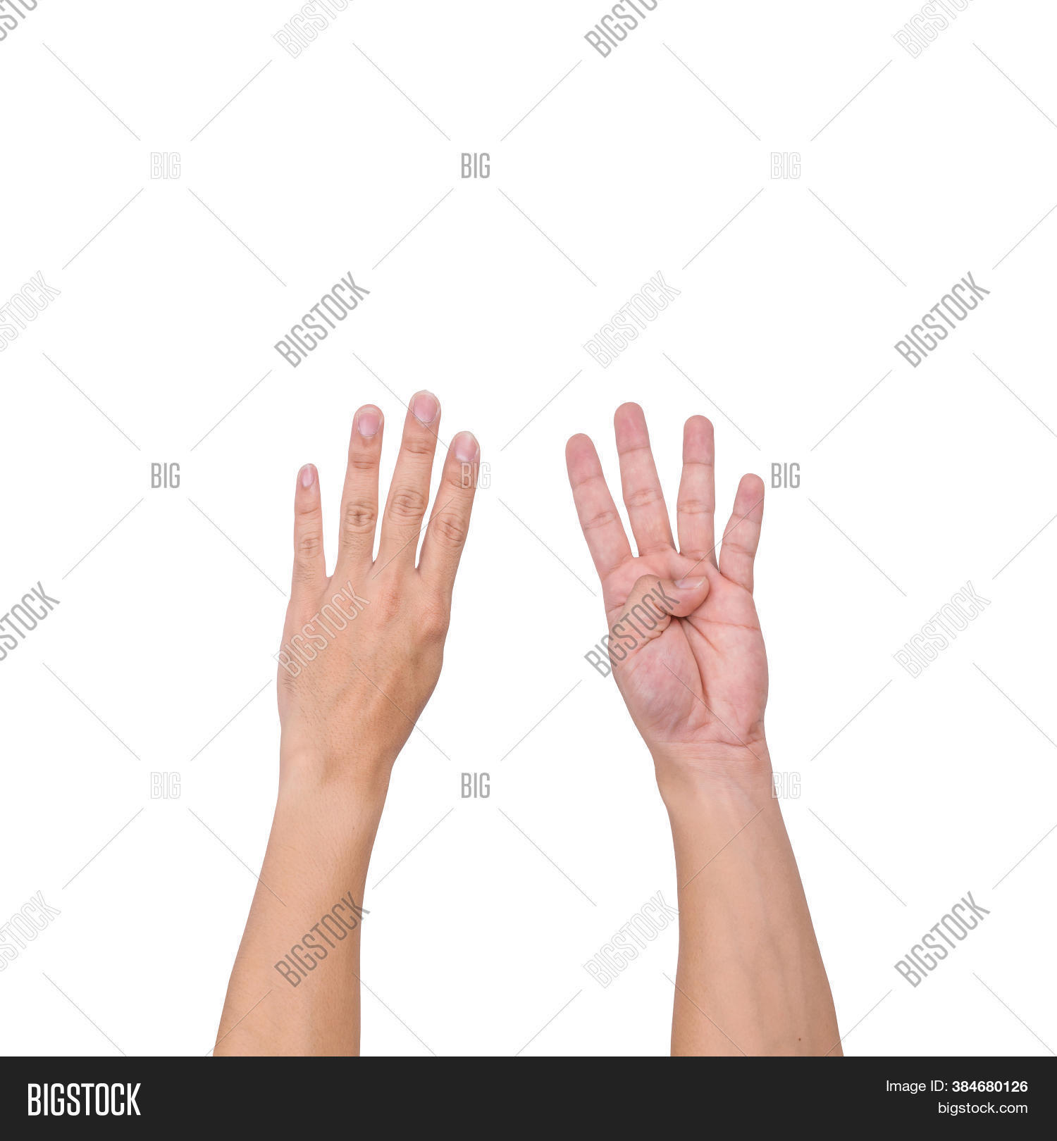 White Male Hand Image & Photo (Free Trial) | Bigstock