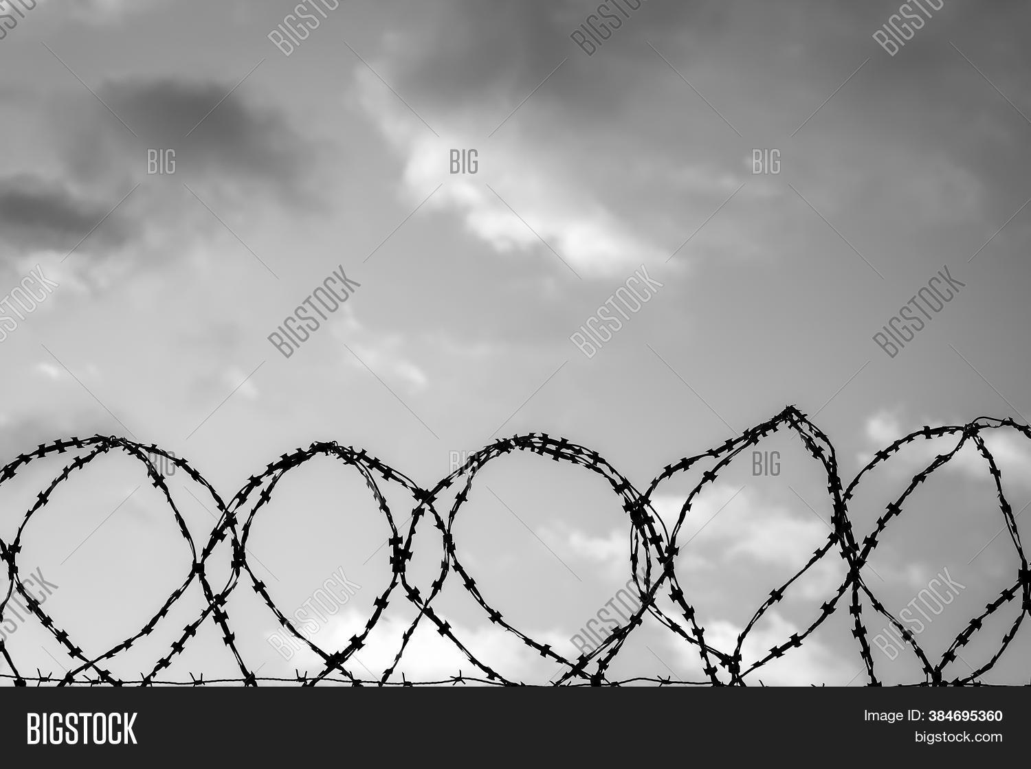 Barbed Wire On Image & Photo (Free Trial) | Bigstock