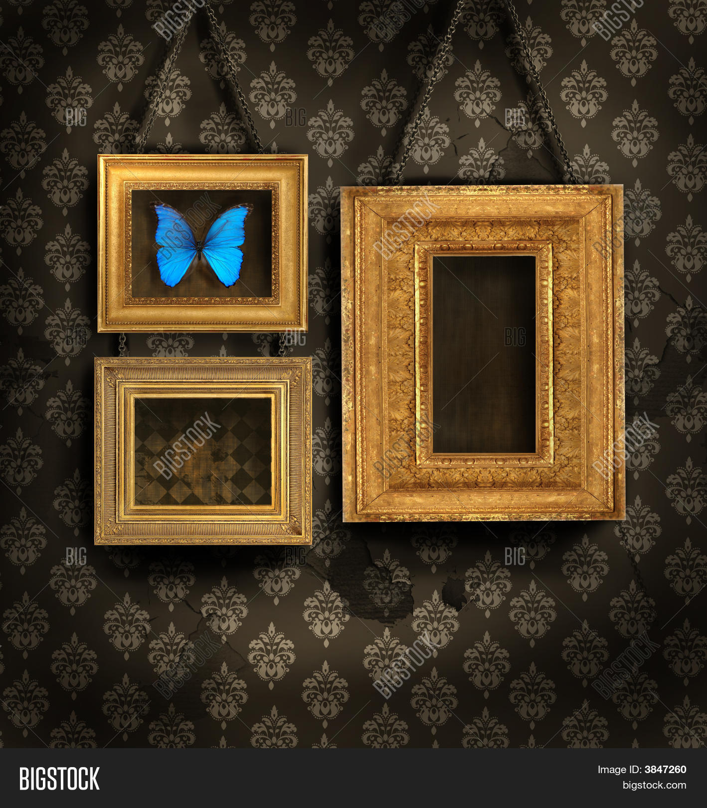 Three Gilded Frames On Image & Photo (Free Trial) | Bigstock
