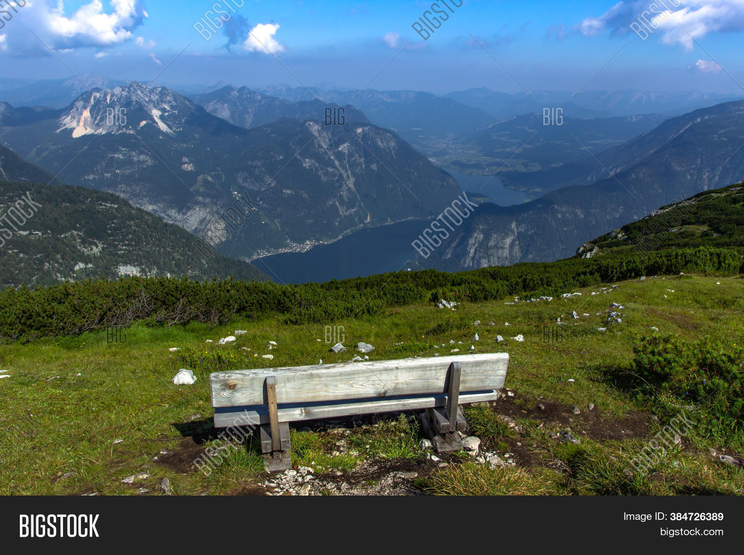 Wooden Bench Image & Photo (Free Trial) | Bigstock