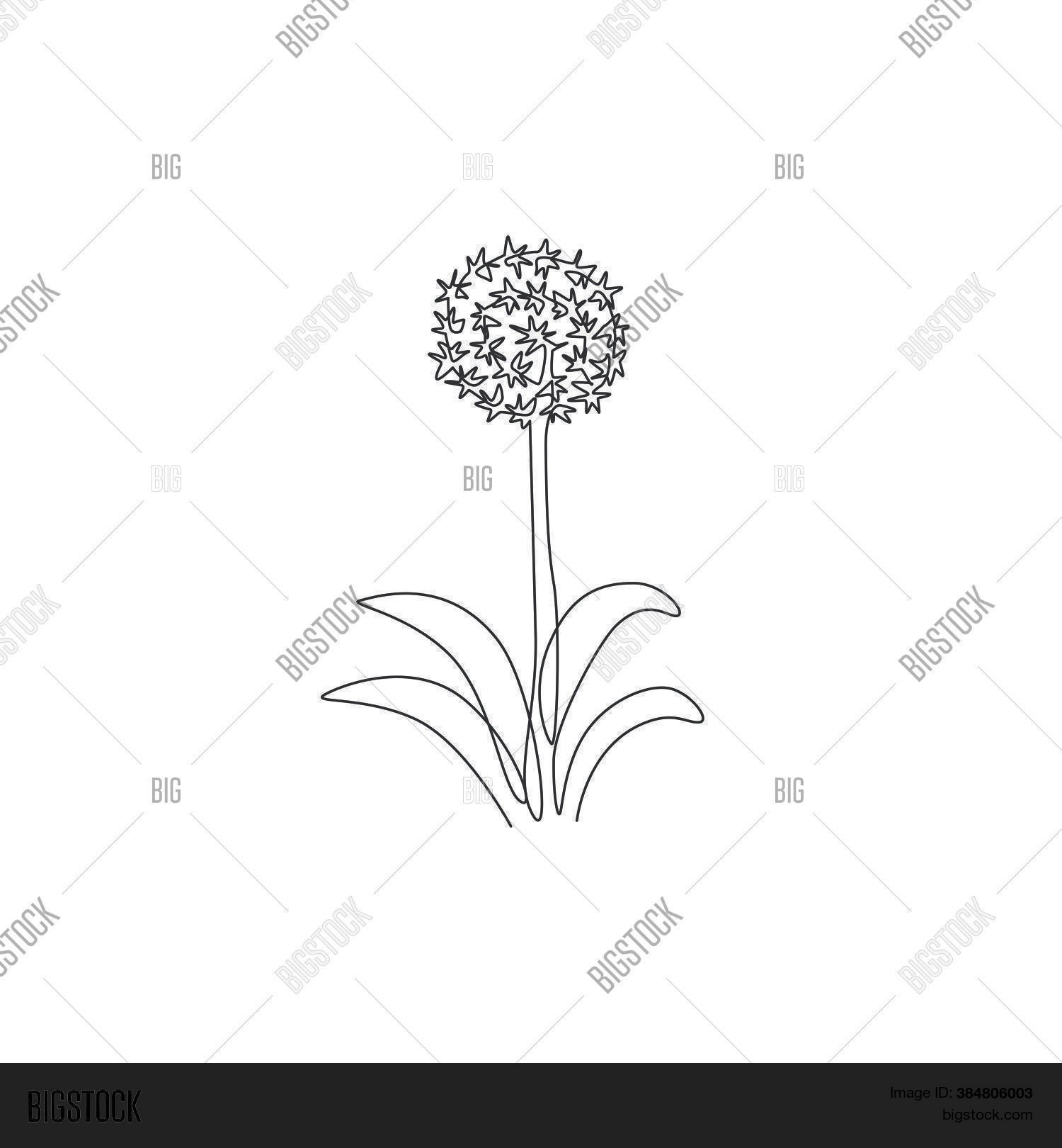 Single One Line Vector & Photo (Free Trial) | Bigstock
