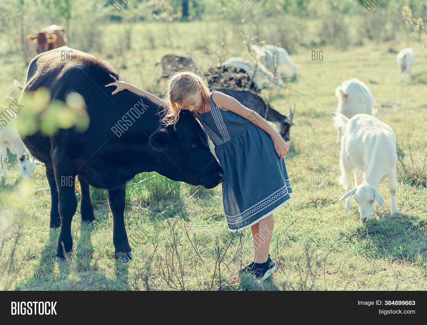 Girl Countryside Cow Image & Photo (Free Trial) | Bigstock