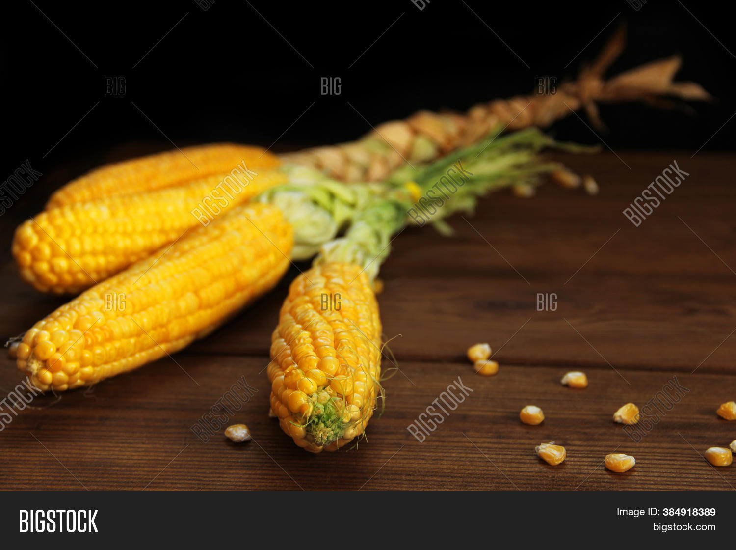 Corn. Yellow Corn Image & Photo (Free Trial) | Bigstock