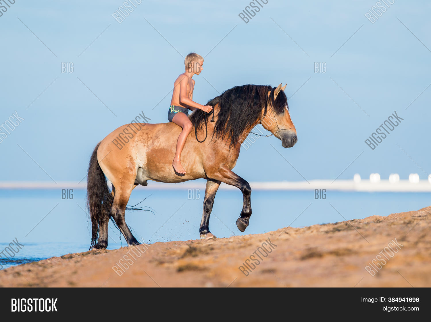 Boy Ride Horse On Image & Photo (Free Trial) | Bigstock