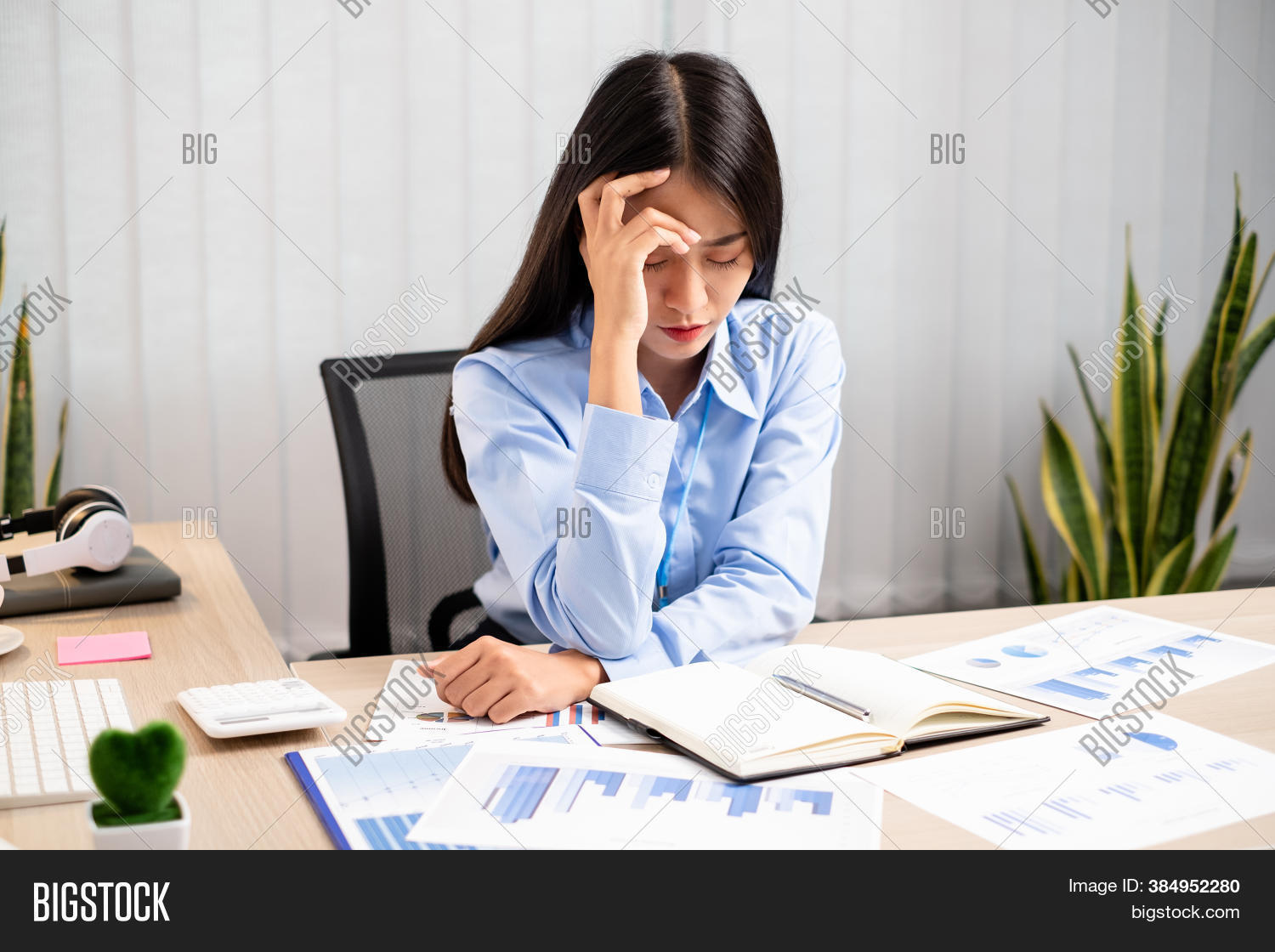Working Asian Women Image & Photo (Free Trial) | Bigstock