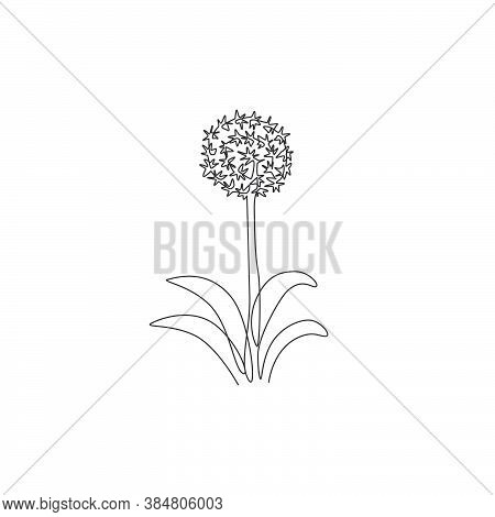 Single One Line Vector & Photo (Free Trial) | Bigstock