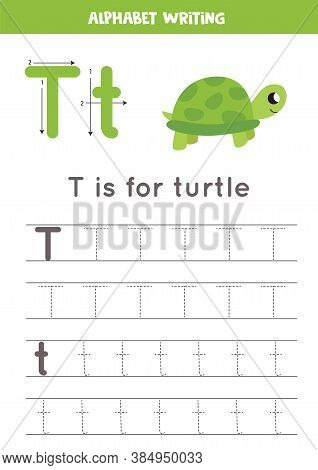 T Turtle. Tracing Vector & Photo (Free Trial) | Bigstock