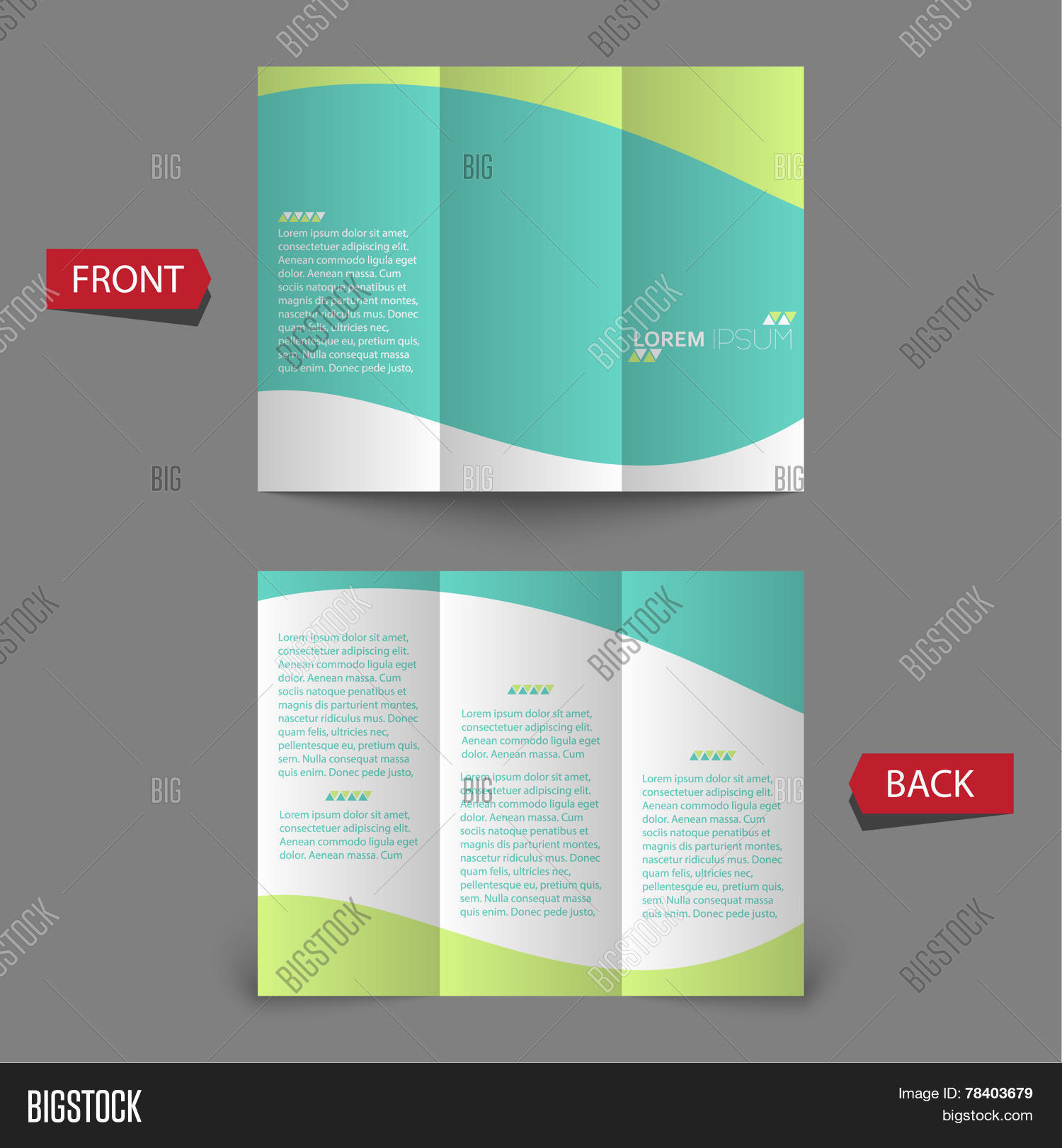 Tri Fold Brochure Vector & Photo (Free Trial) | Bigstock