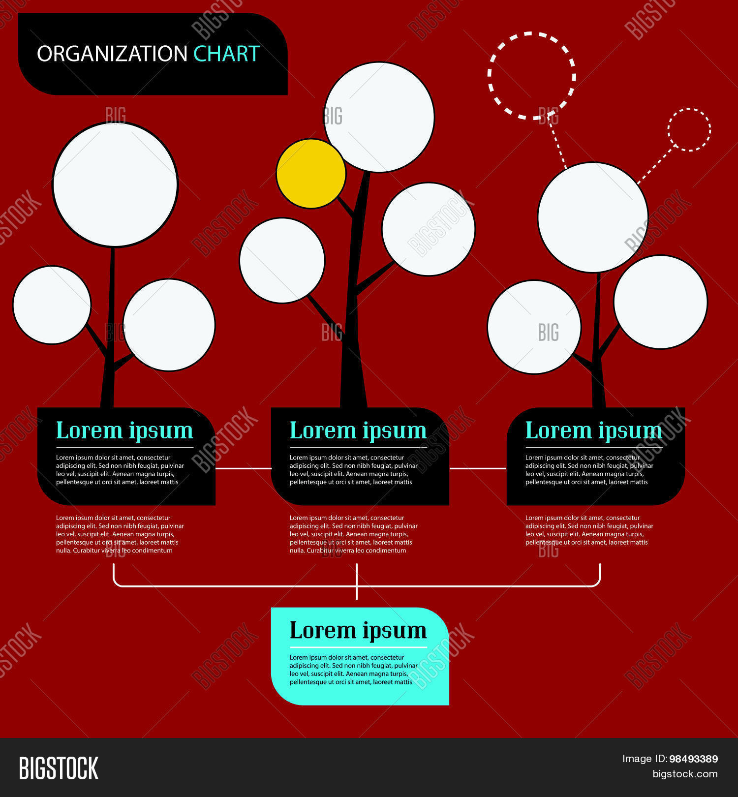 Organization Chart Vector & Photo (Free Trial) | Bigstock