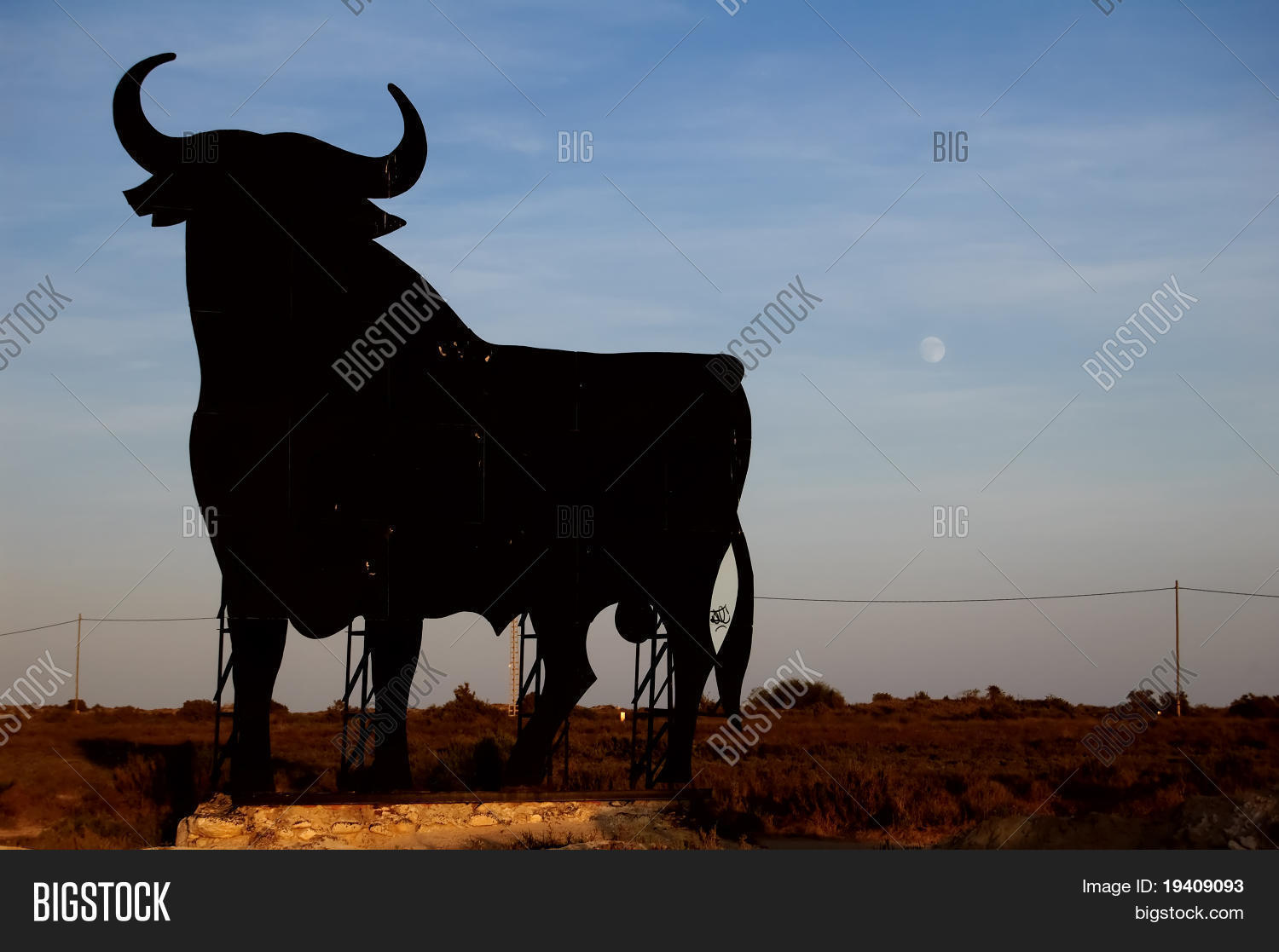 Spanish Bull Image & Photo (Free Trial) | Bigstock