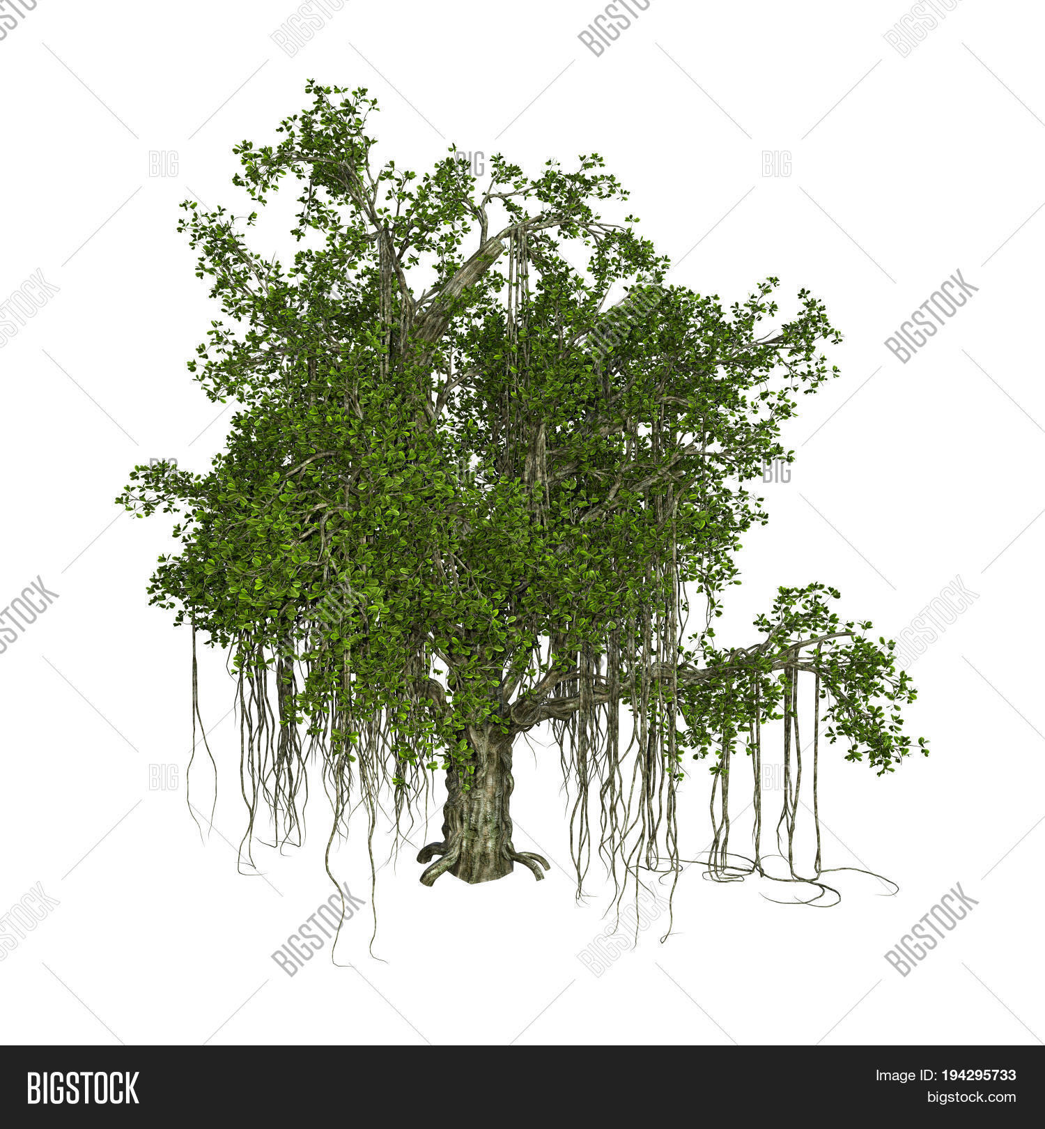 3D Rendering Banyan Image & Photo (Free Trial) | Bigstock