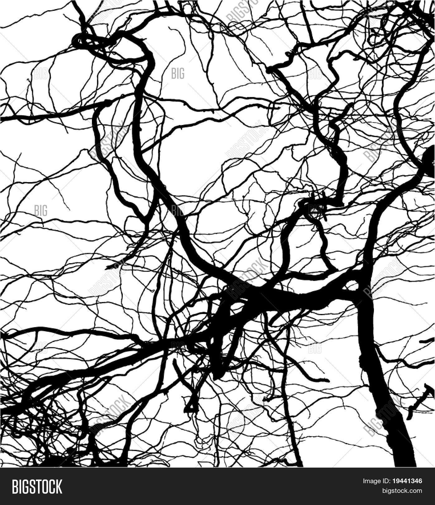 Weird Shaped Tree Vector & Photo (Free Trial) | Bigstock