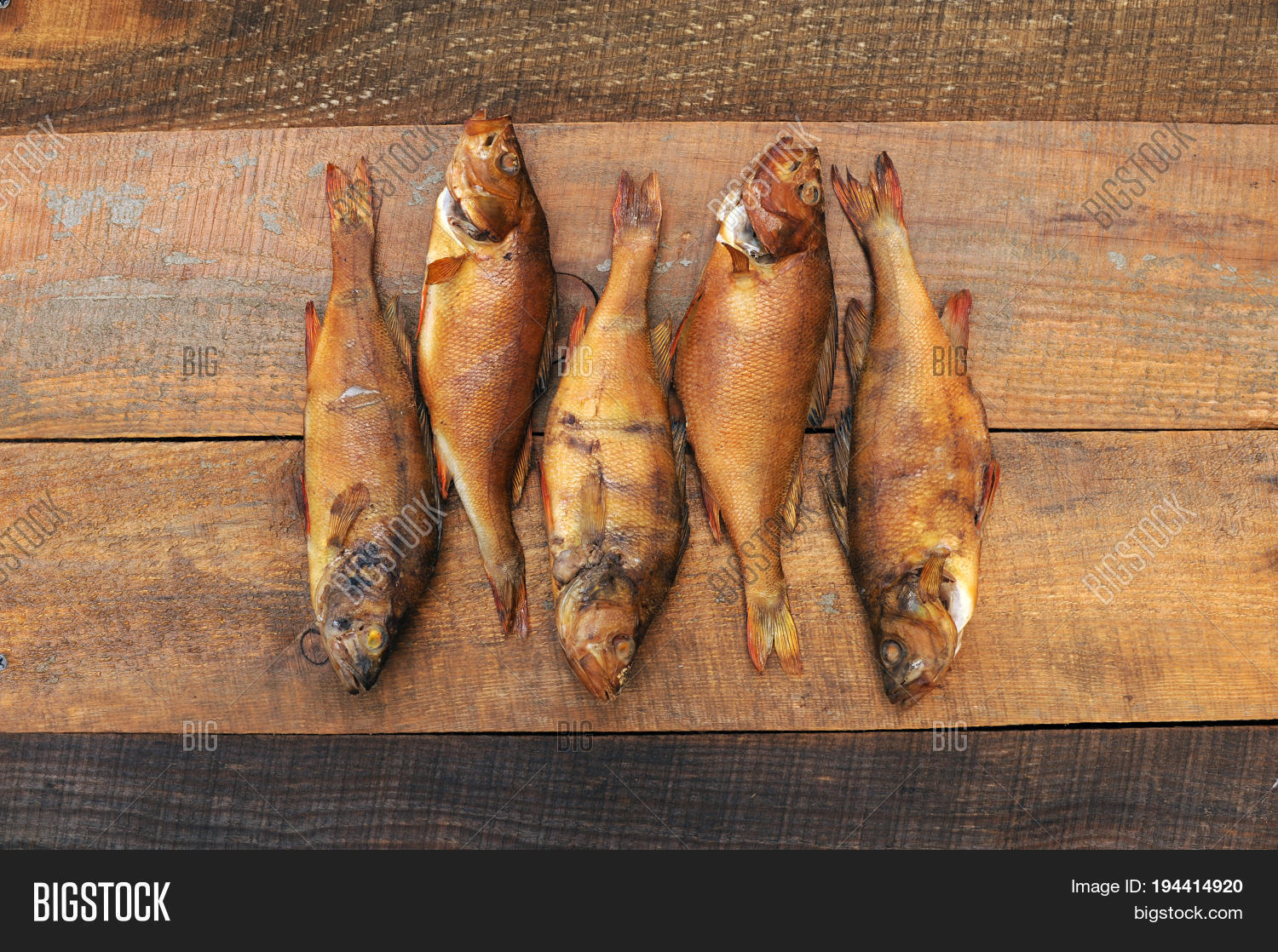 Medium-sized Fish Image & Photo (Free Trial) | Bigstock