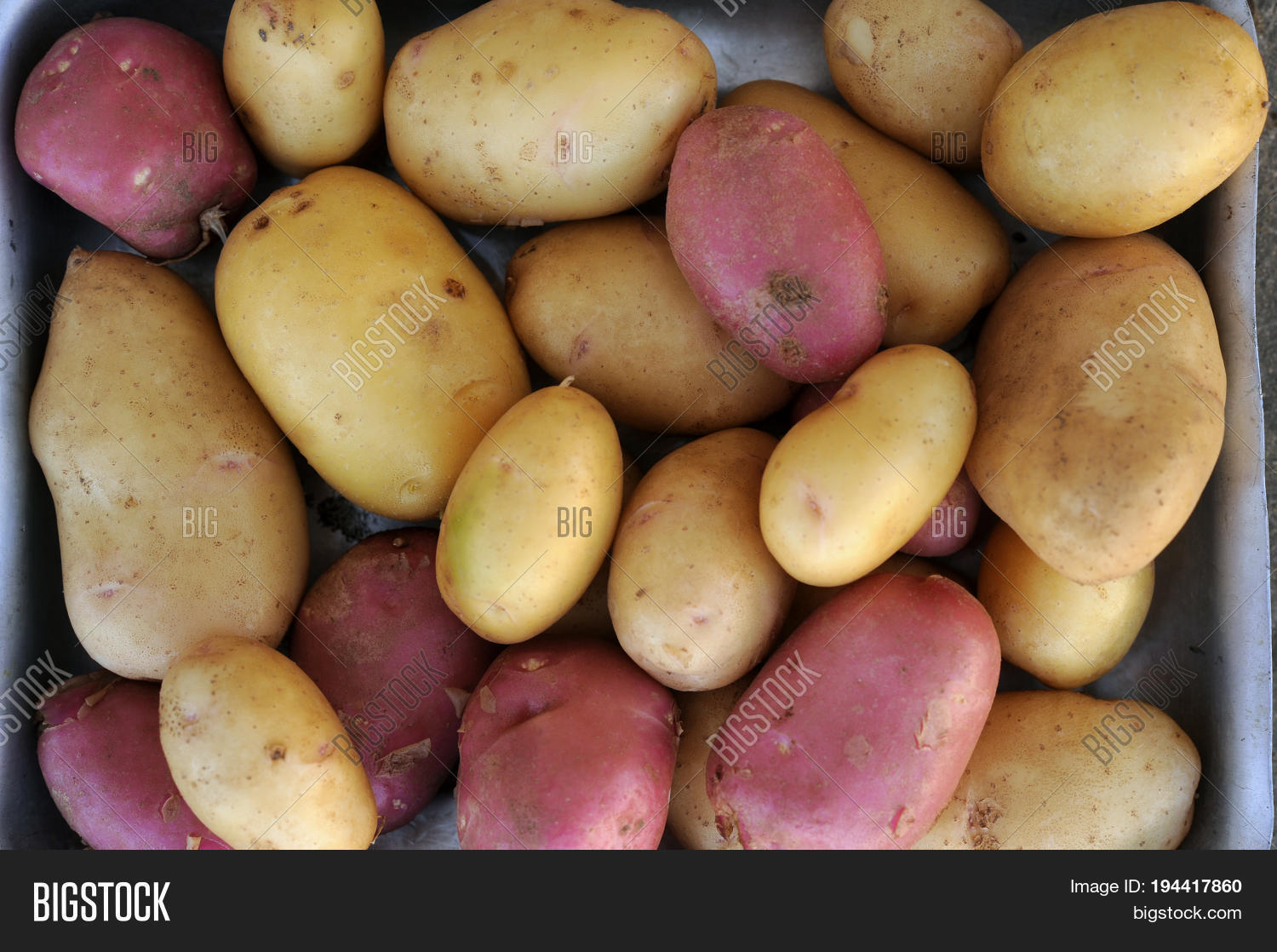 Pink White Potatoes Image & Photo (Free Trial) | Bigstock