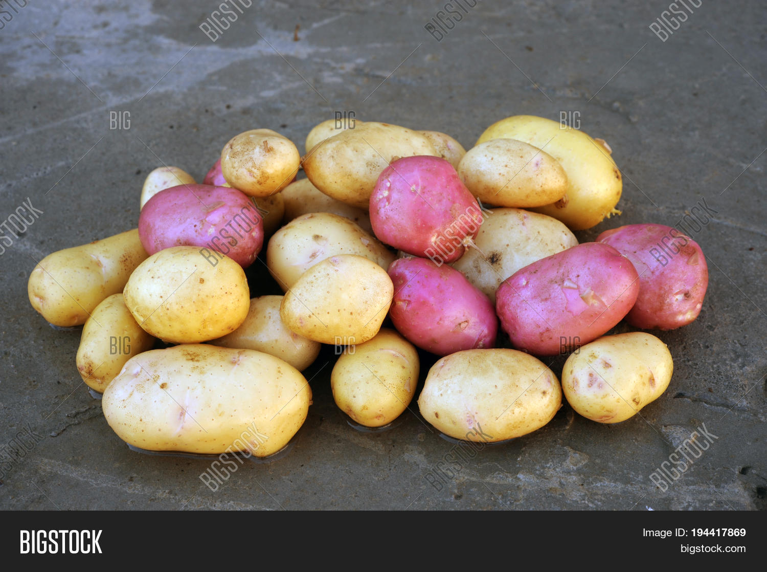 Pink White Potatoes Image & Photo (Free Trial) | Bigstock