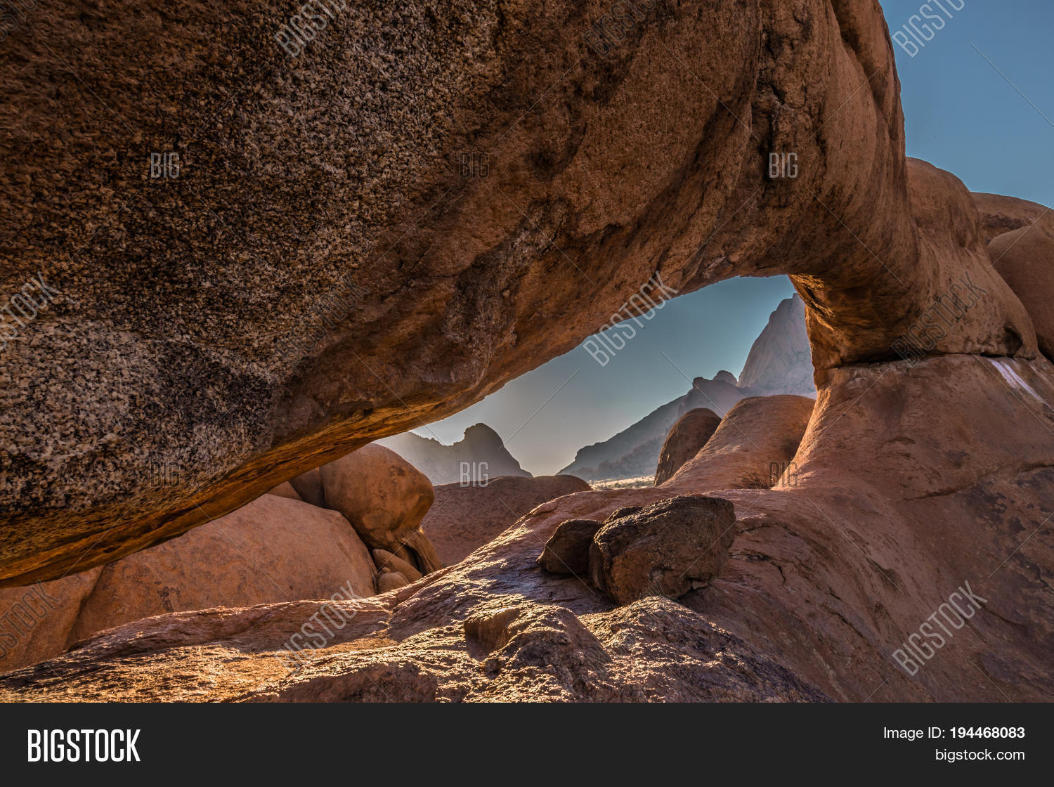 Natural Array Bald Image & Photo (Free Trial) | Bigstock