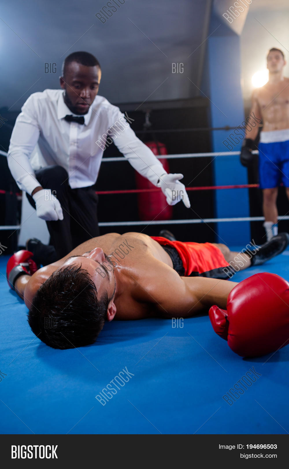 Male Boxer Looking Image & Photo (Free Trial) | Bigstock
