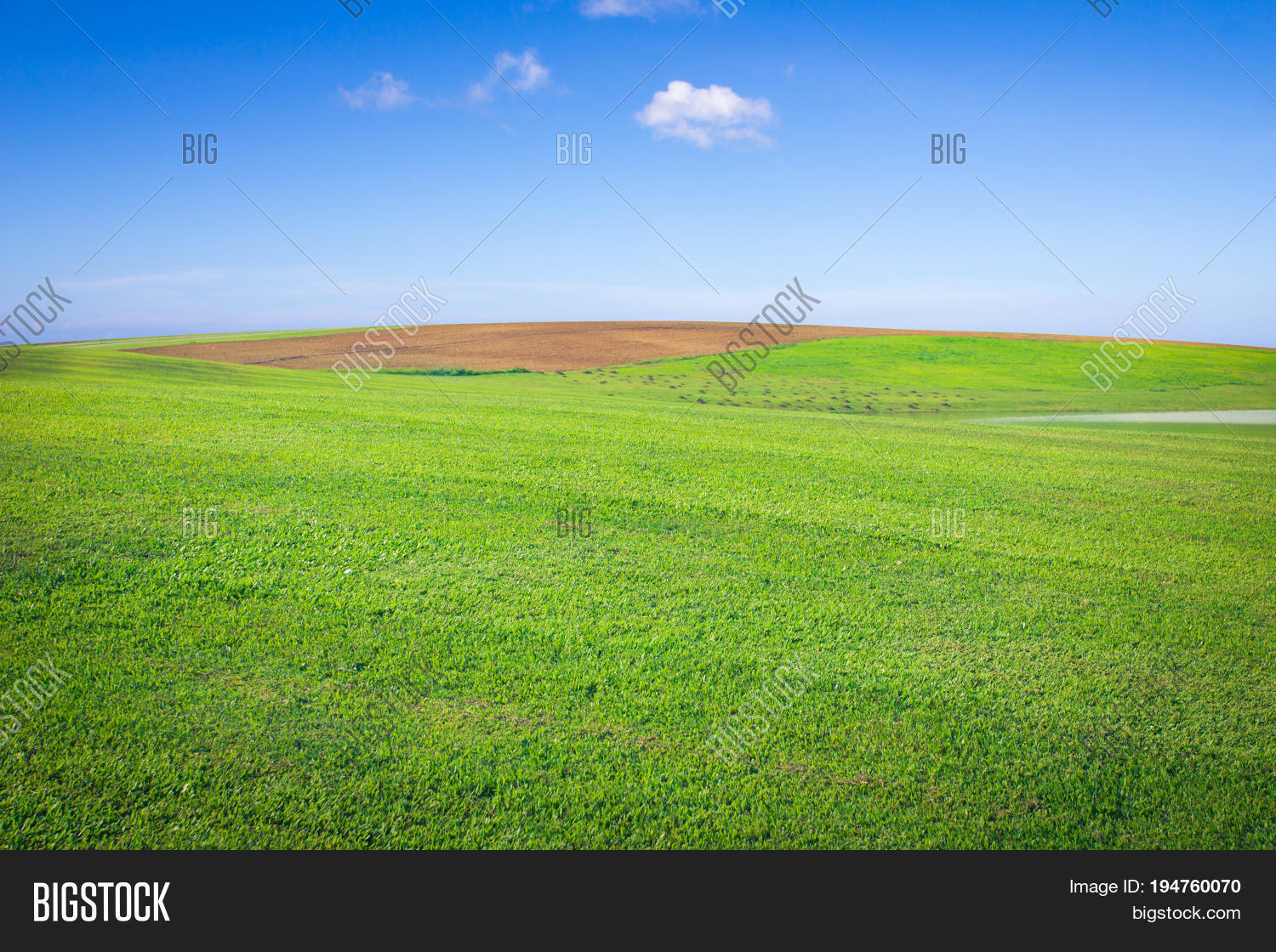 Open Grassland Sky. Image & Photo (Free Trial) | Bigstock