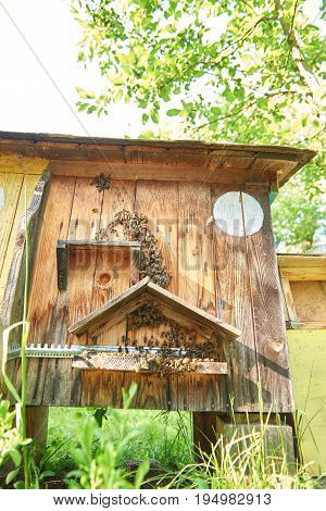 Low Angle Shot Beehive Image & Photo (Free Trial) | Bigstock